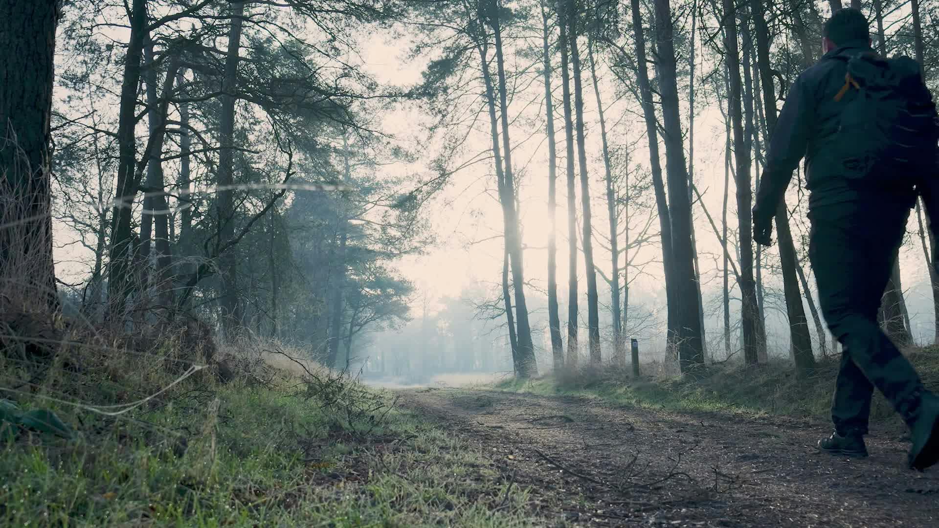 Solitary Man Walking Through Mystical Forest Free Stock Video Footage ...