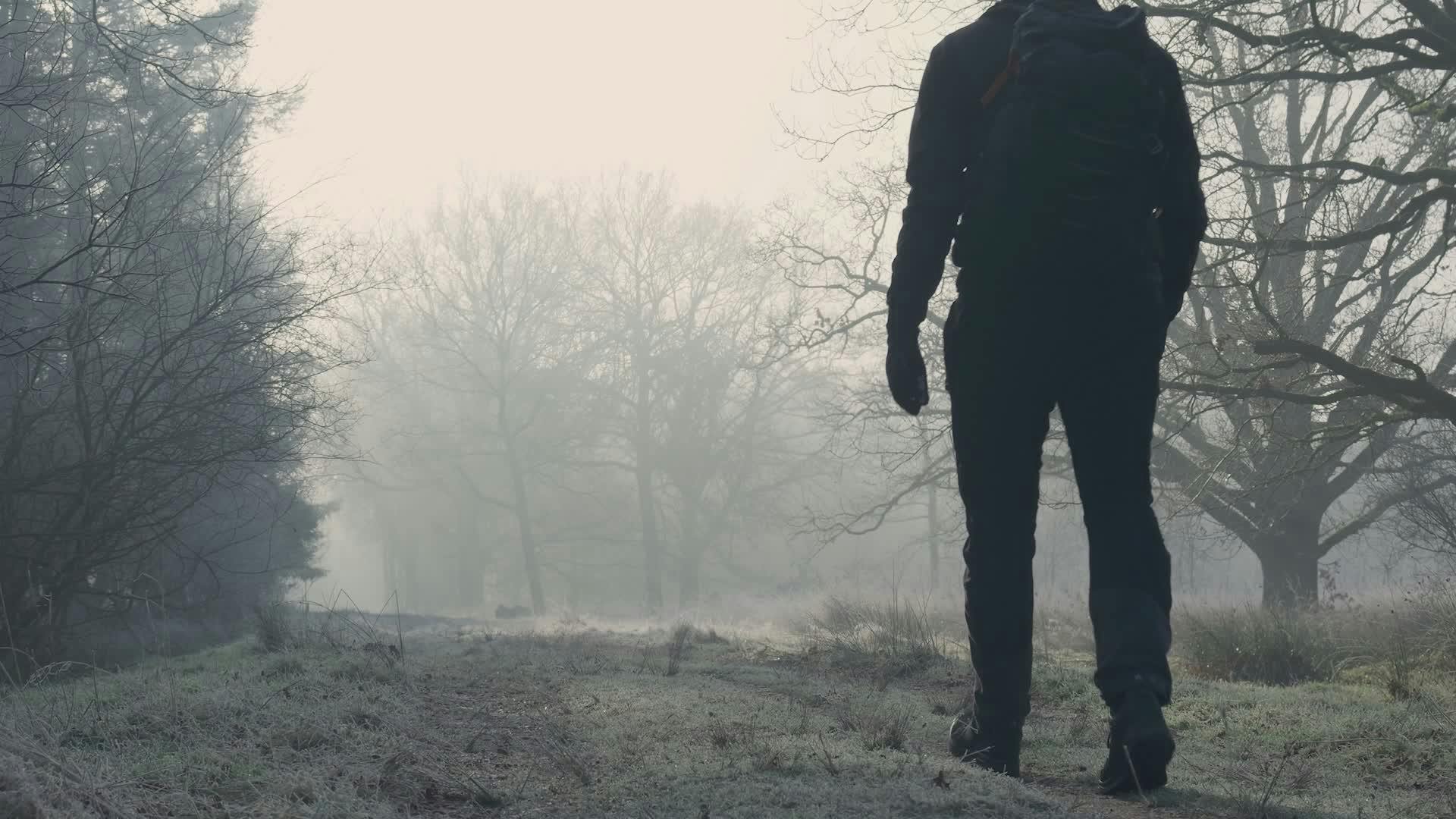 Wild Li Videos, Download The BEST Free 4k Stock Video Footage & Wild Li ...