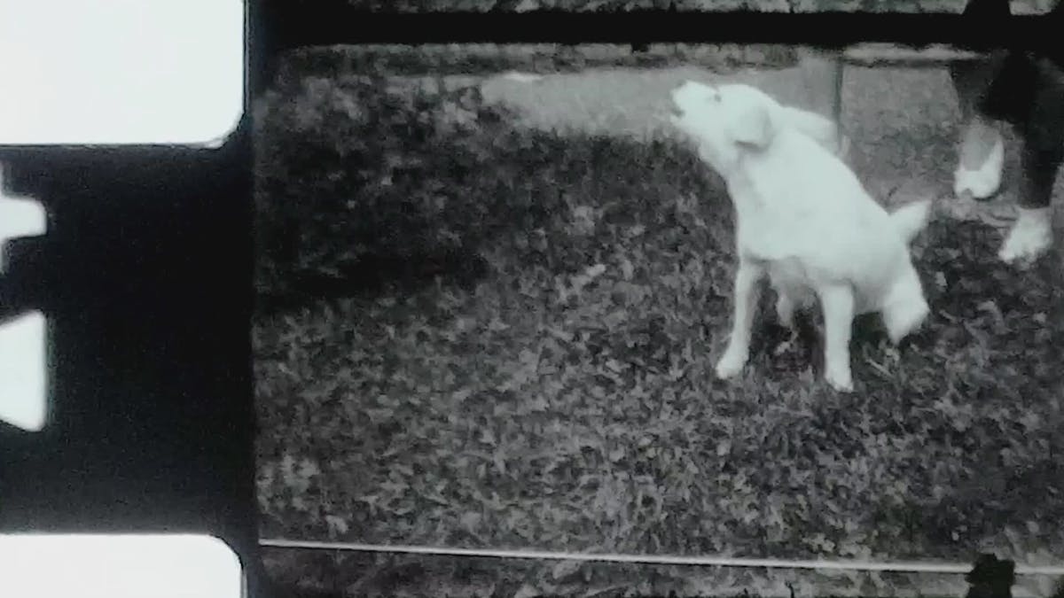 Log Footage Videos, Download The BEST Free 4k Stock Video Footage & Log ...