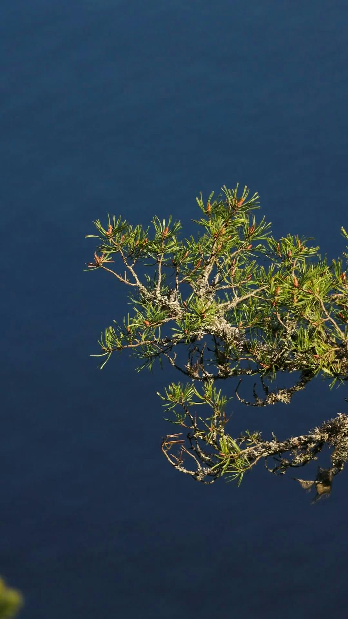 Video+Bokep+Germany Videos, Download The BEST Free 4k Stock Video Footage & Video+Bokep+Germany ...