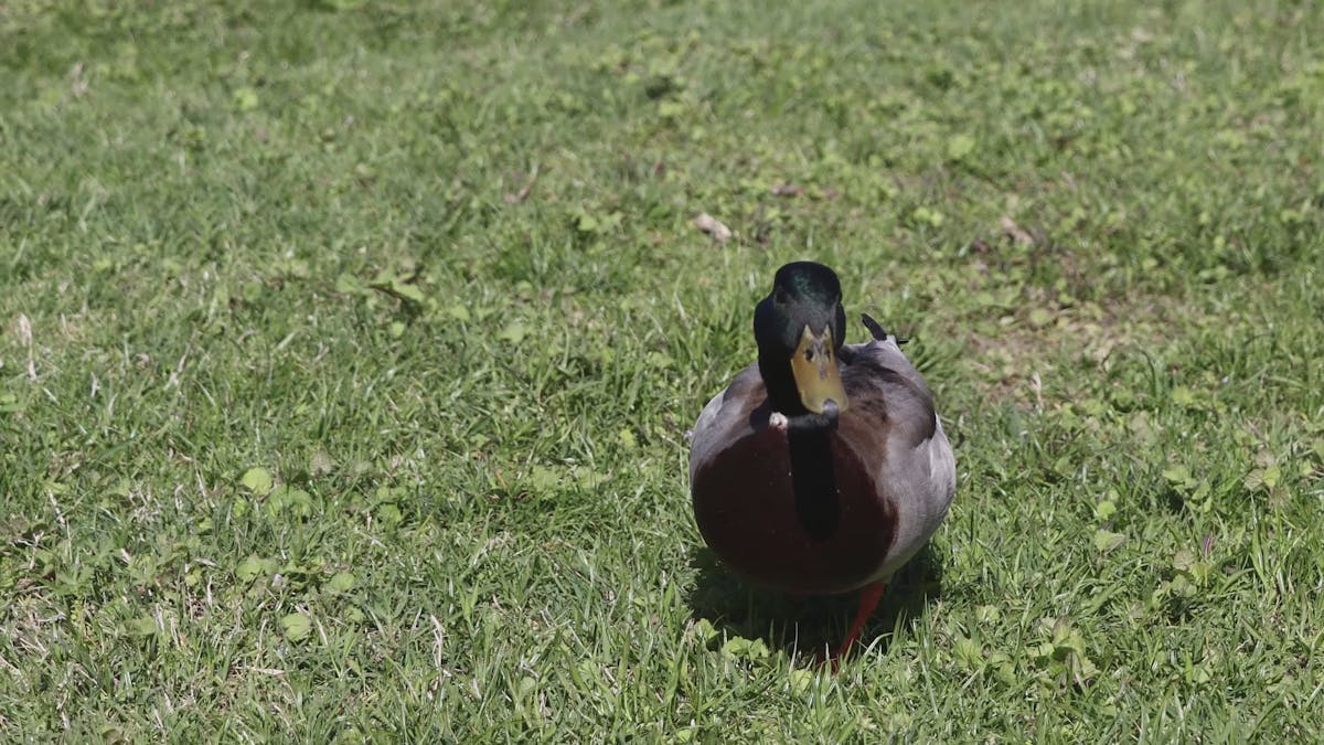 30 Second Video Videos, Download The BEST Free 4k Stock Video Footage ...