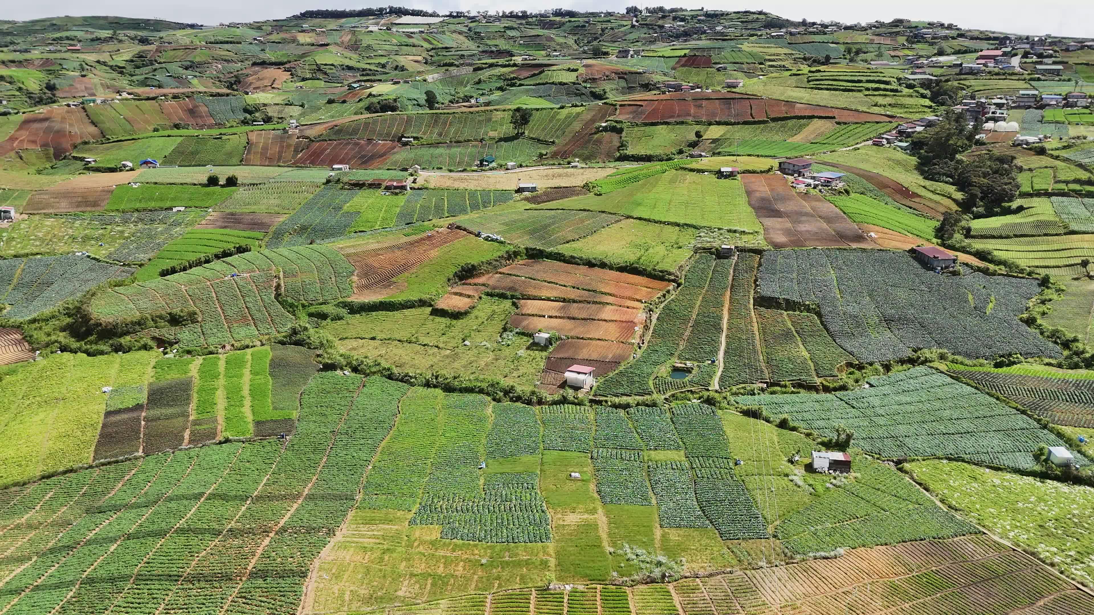 Raymund Jay Garcia - 사진