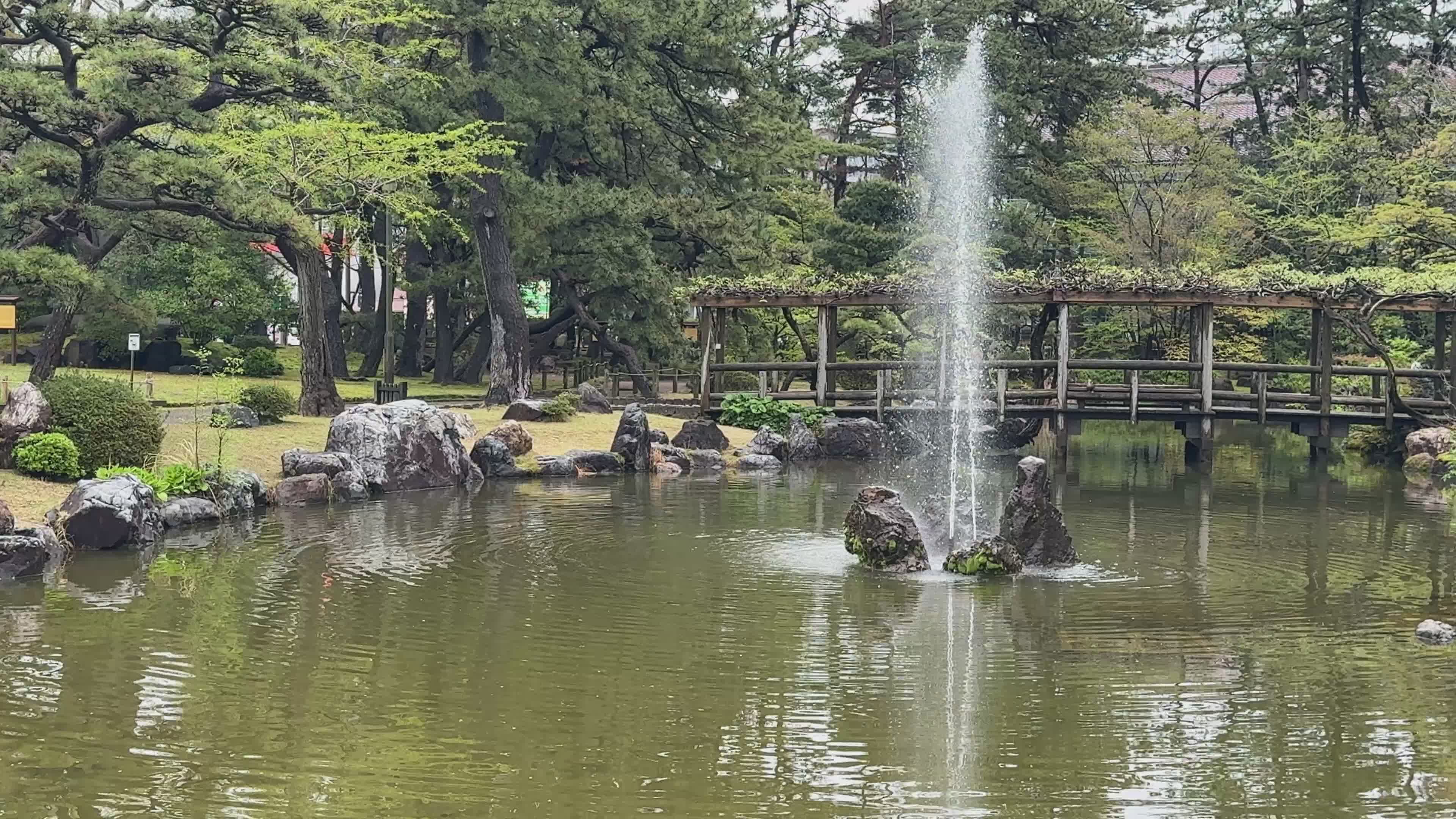 Natur Und Parks Videos, Download The BEST Free 4k Stock Video Footage ...