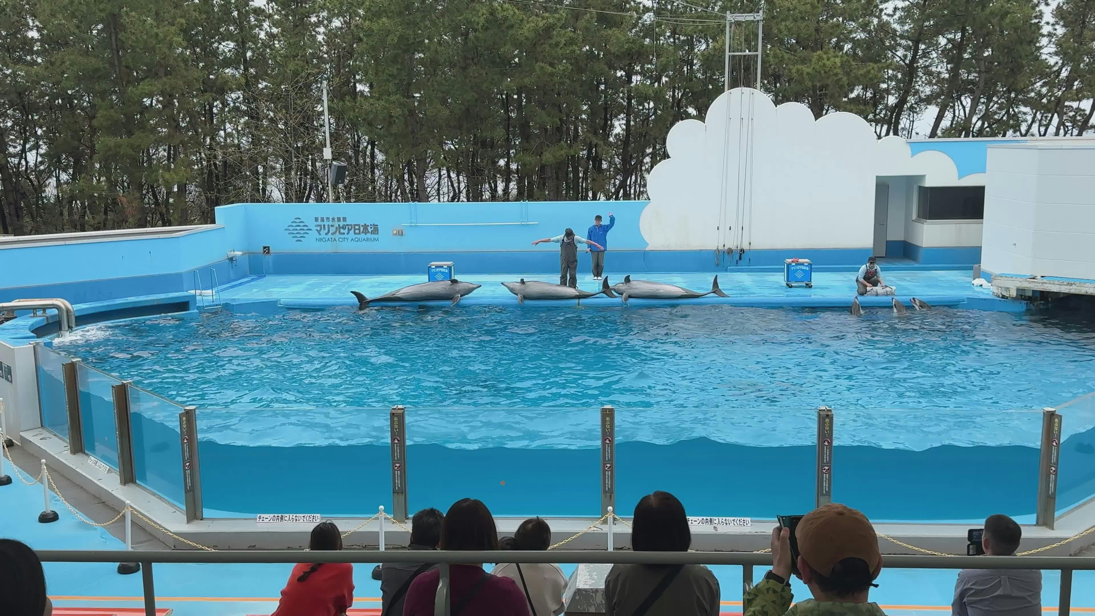 Limited Audience Videos, Download The BEST Free 4k Stock Video Footage ...