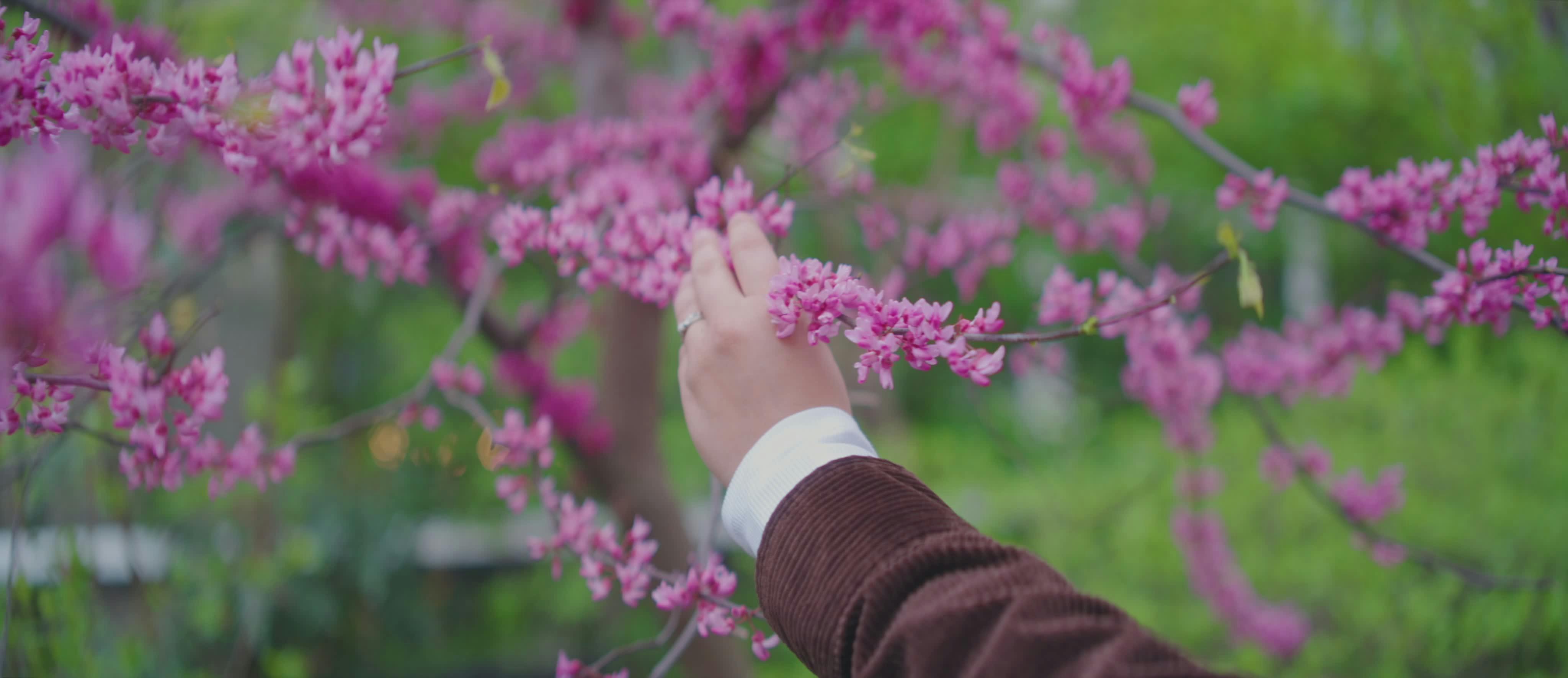 Secret+Handful+Free Videos, Download The BEST Free 4k Stock Video ...