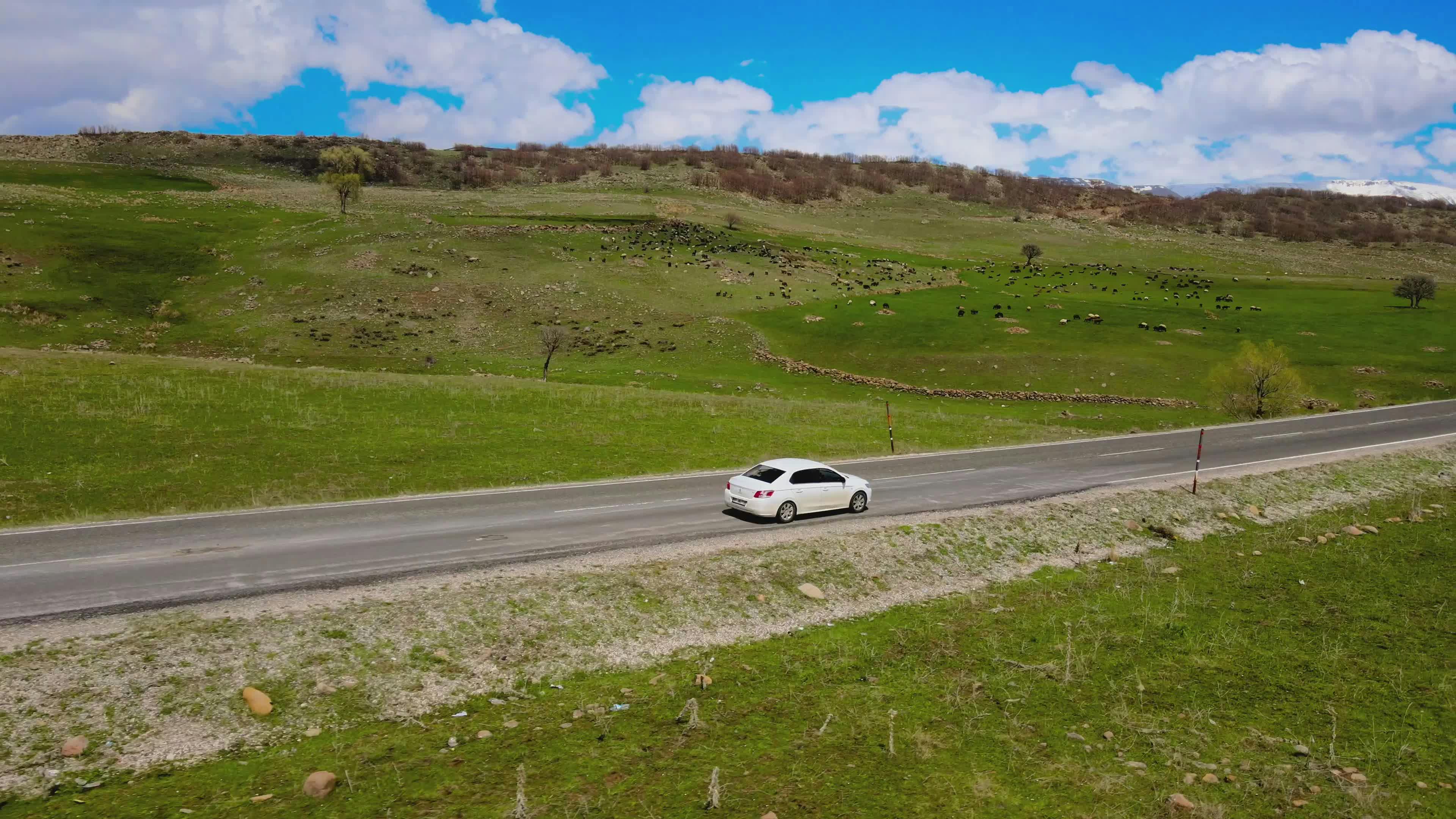 Car In A Spring Videos, Download The BEST Free 4k Stock Video Footage ...