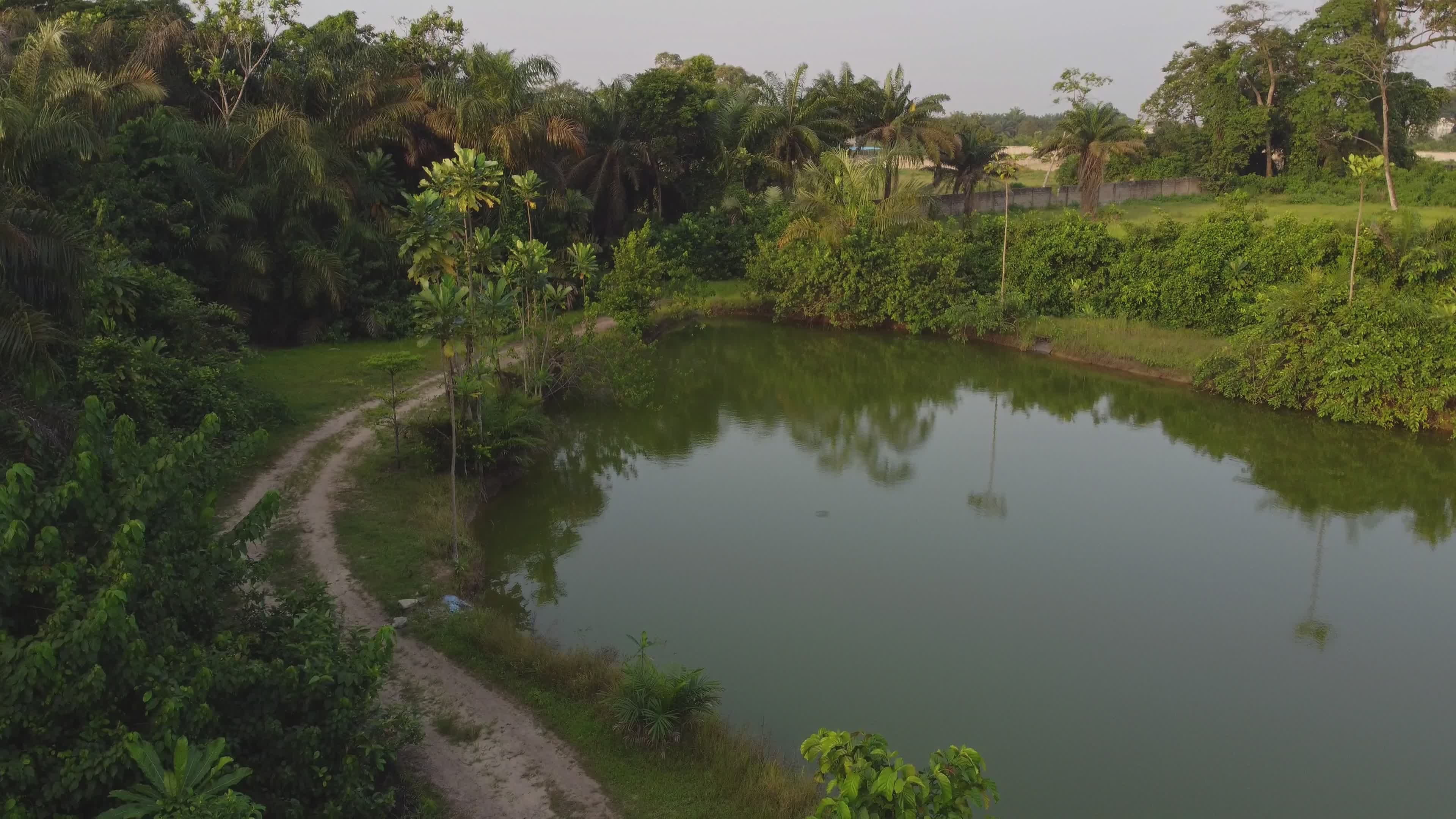 Aerial View of Lush Nature Park in Lagos Nigeria Free Stock Video ...