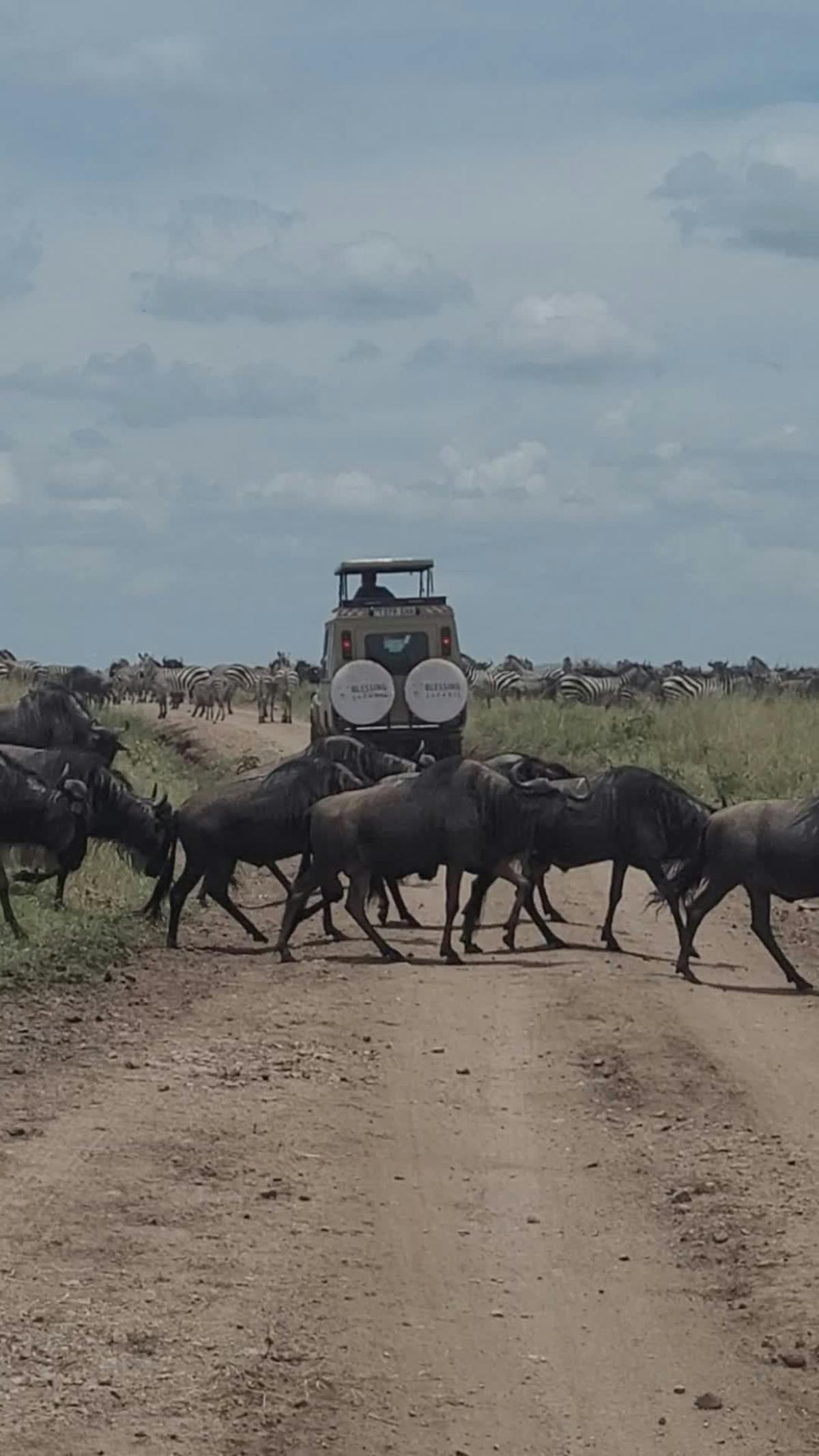 Japanese+Mom+Son+Six+Video Videos, Download The BEST Free 4k Stock ...