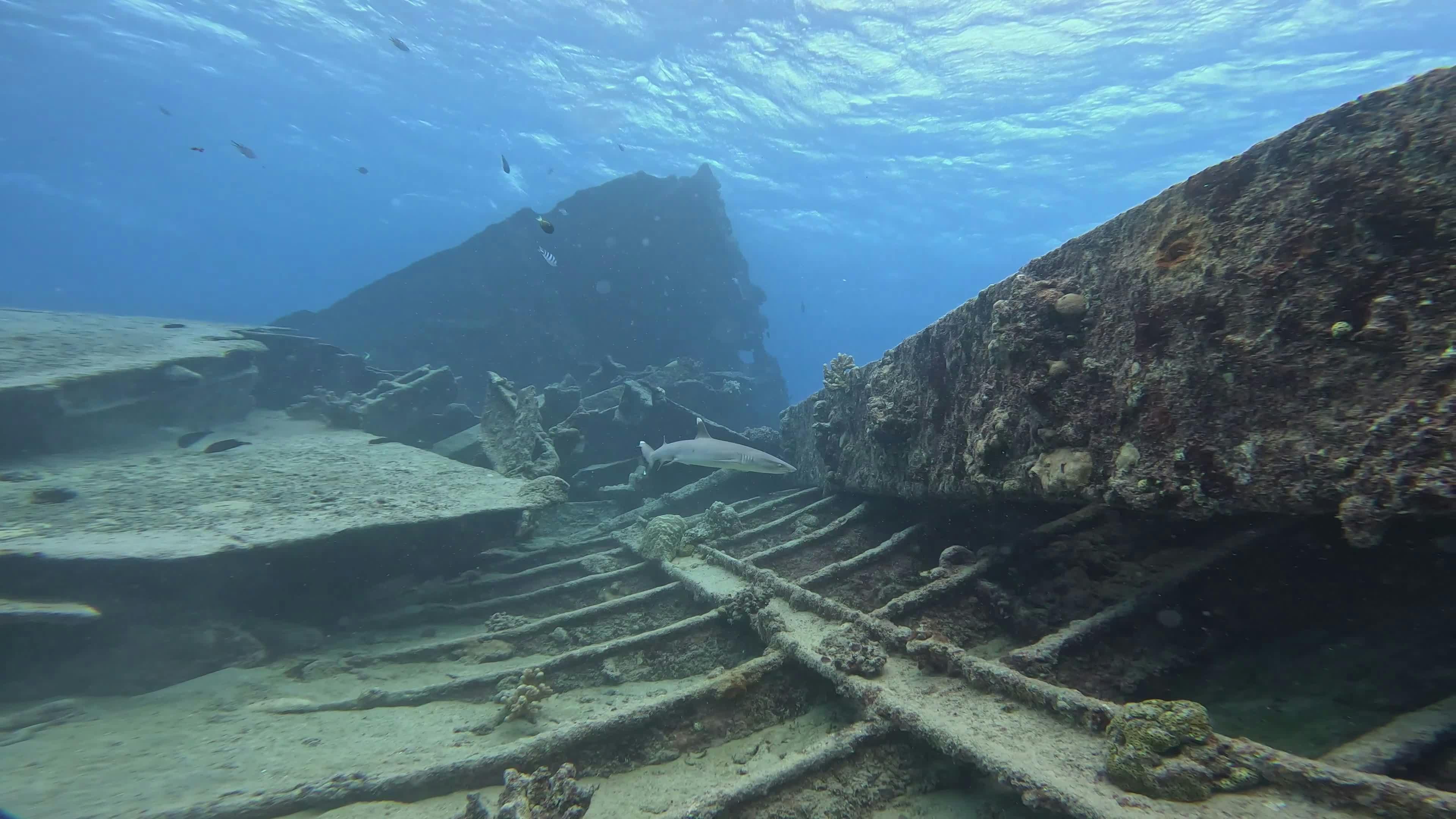 Seabed Ship Videos, Download The BEST Free 4k Stock Video Footage ...