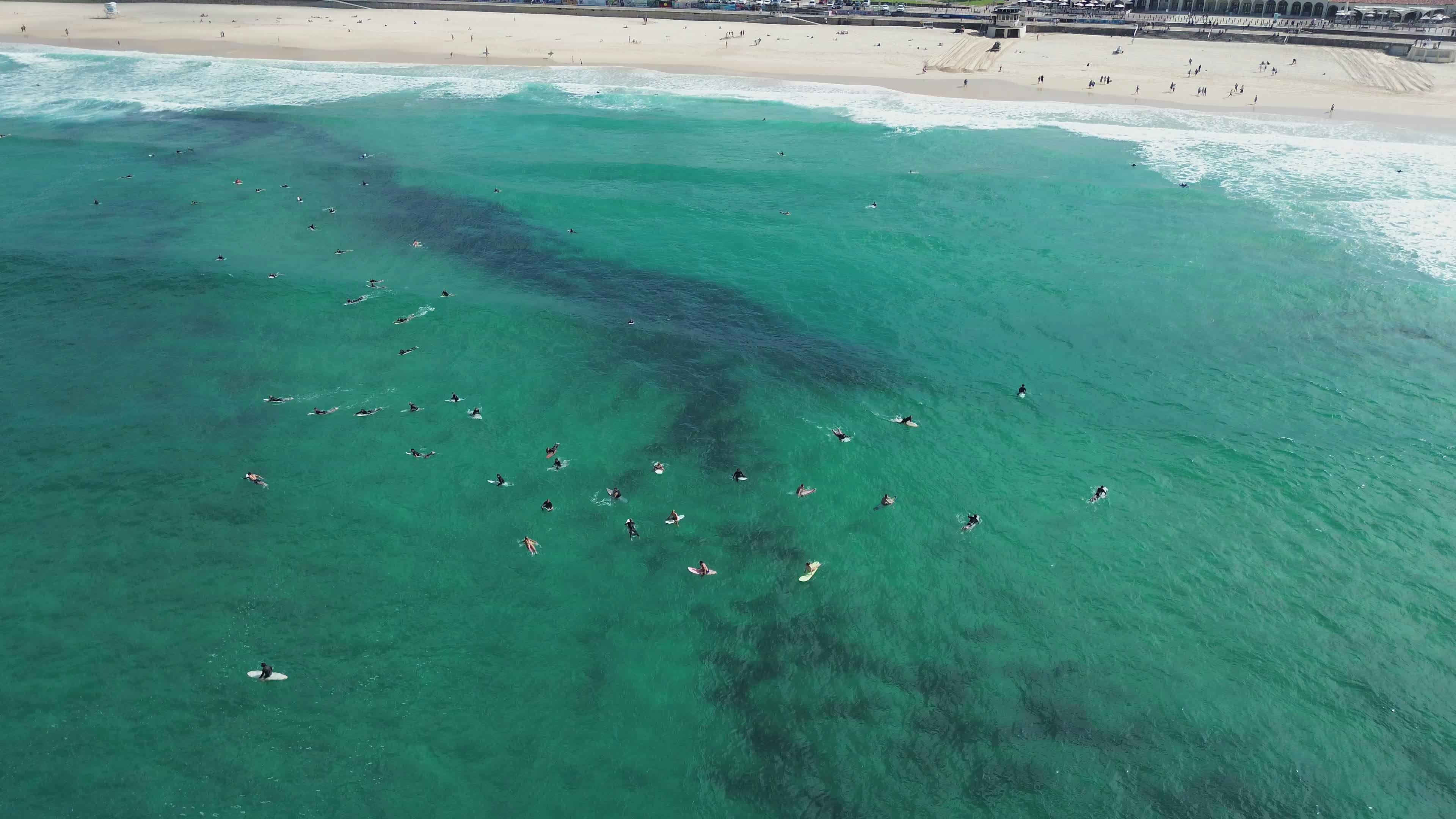 Aerial View of Surfers at Iconic Australian Beach Free Stock Video ...