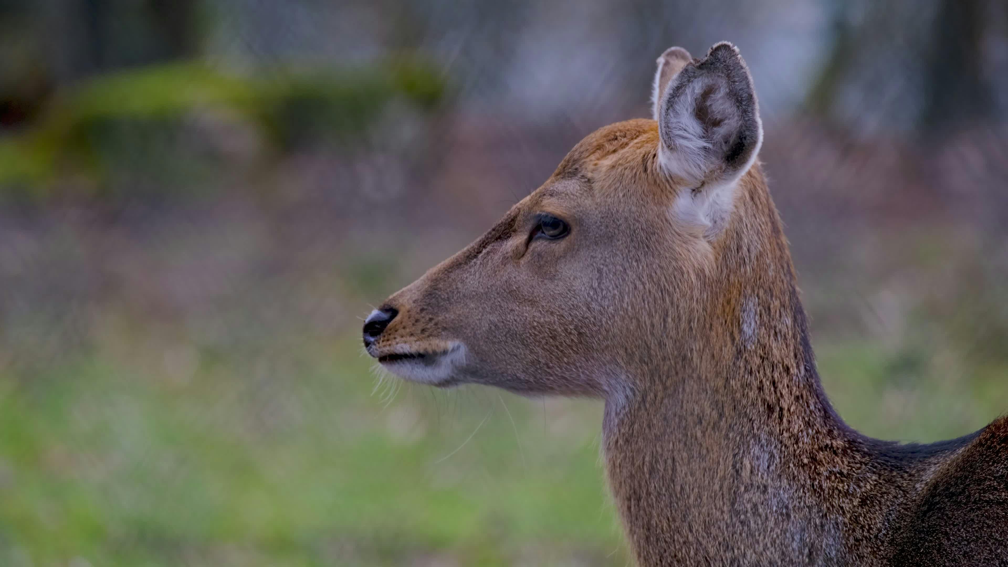 Casting+Young+Gay+Boy Videos, Download The BEST Free 4k Stock Video Footage & Casting+Young+Gay ...