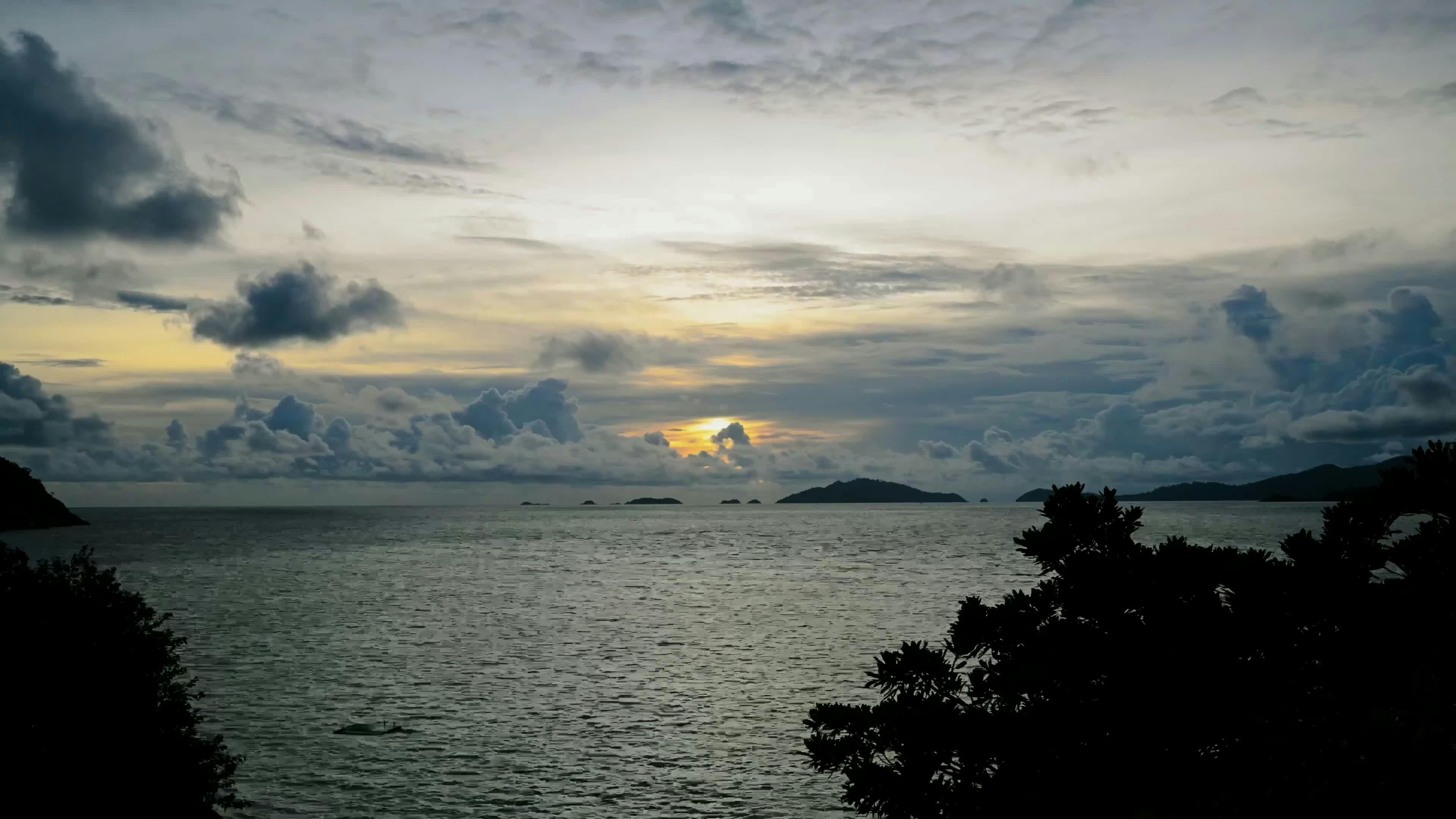 Heavy Rain Tropical Free Video Videos, Download The BEST Free 4k Stock ...