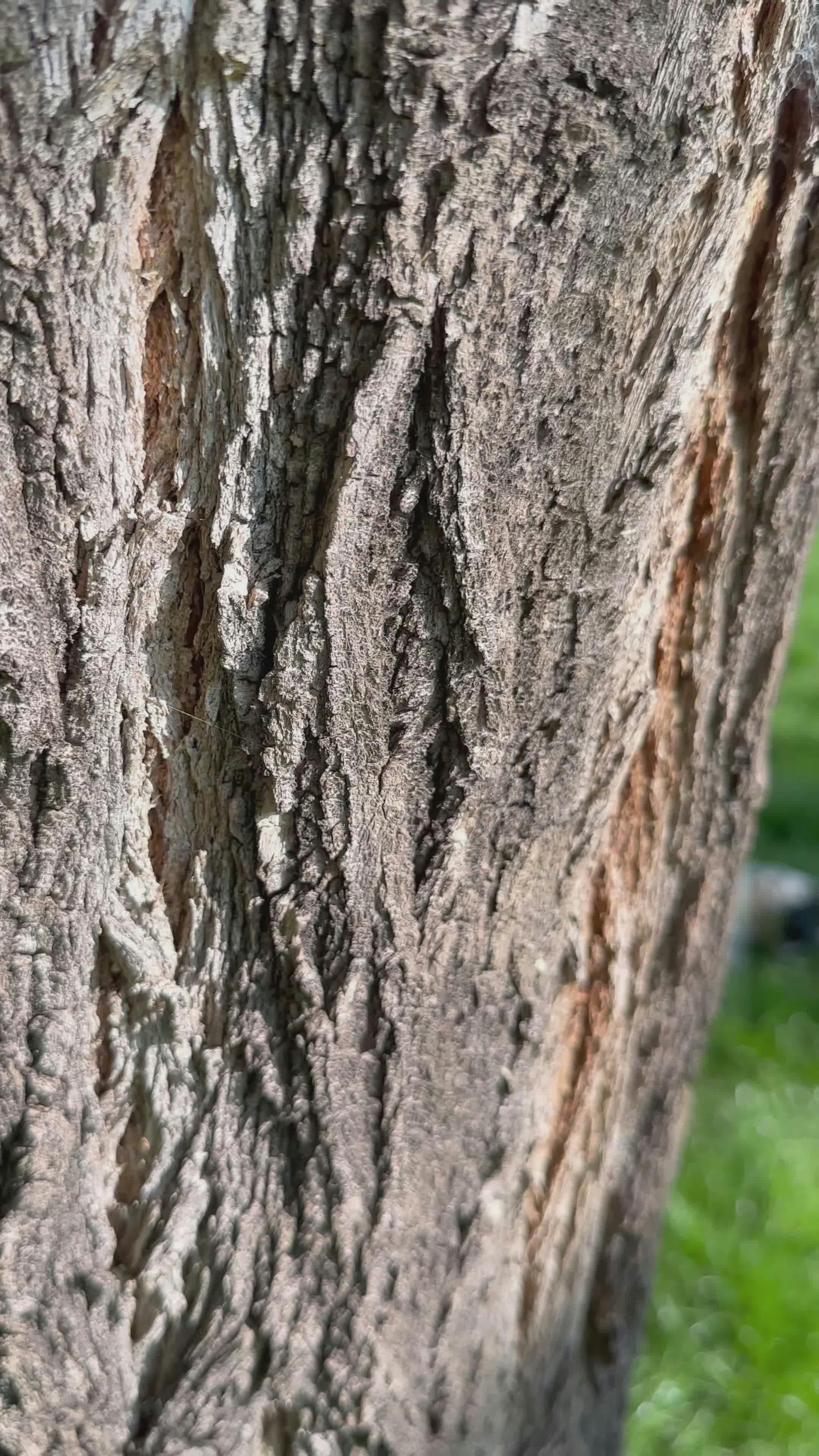 Green Screen Tracking Videos, Download The BEST Free 4k Stock Video ...