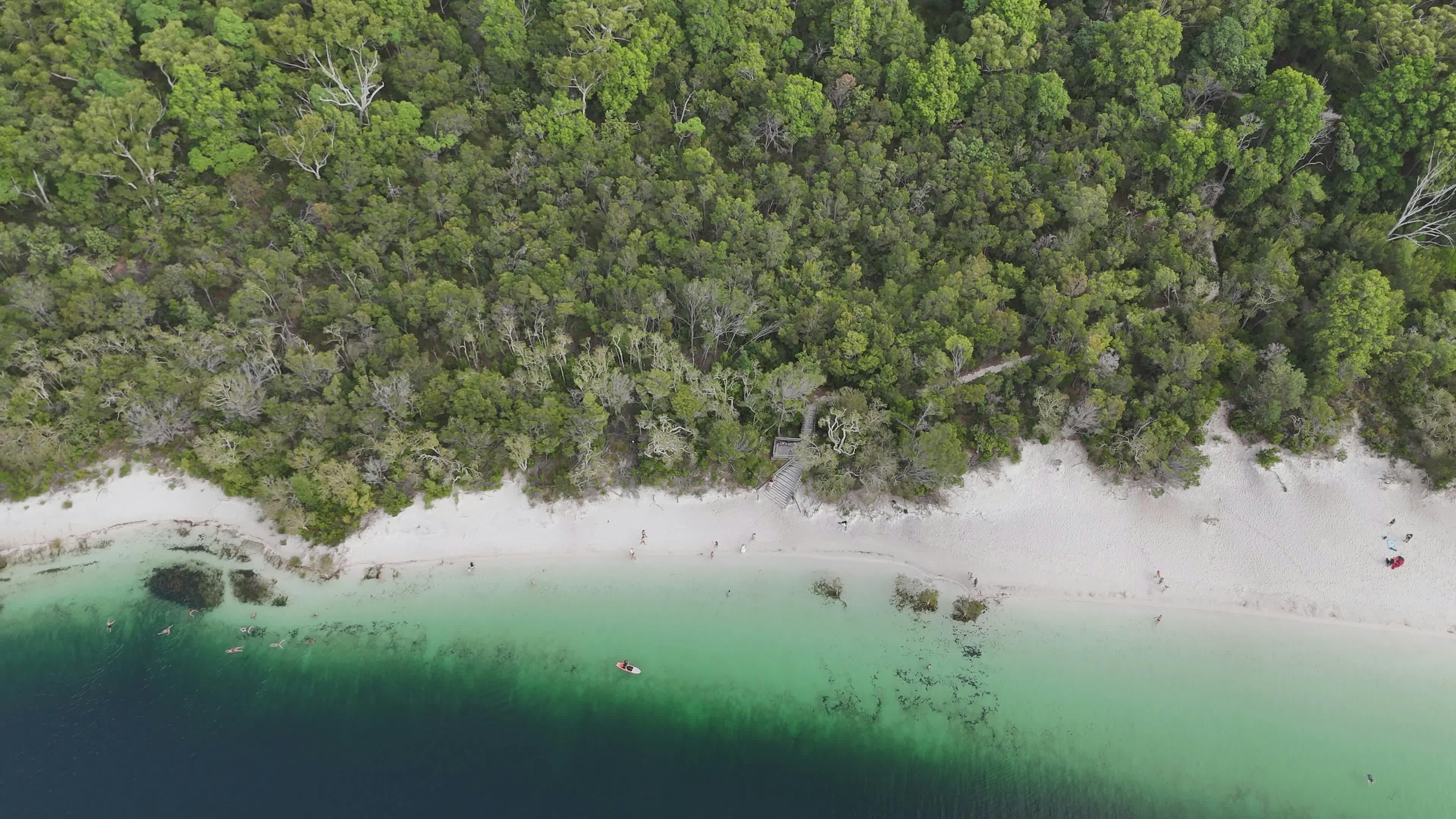 Aerial View of Pristine Tropical Beach and Forest Free Stock Video Footage, Royalty-Free 4K & HD ...