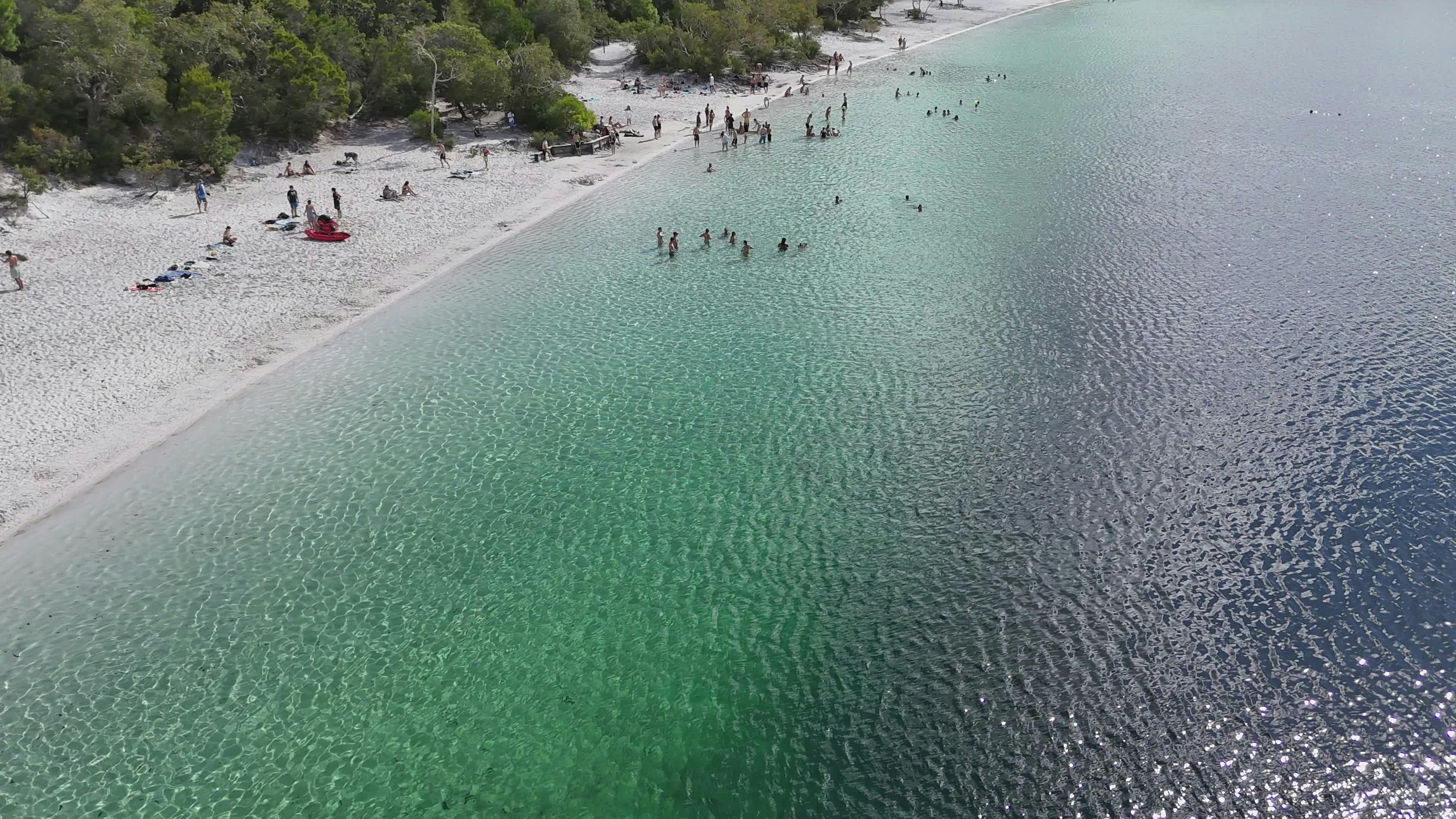 People+Humping+Each+Other Videos, Download The BEST Free 4k Stock Video ...