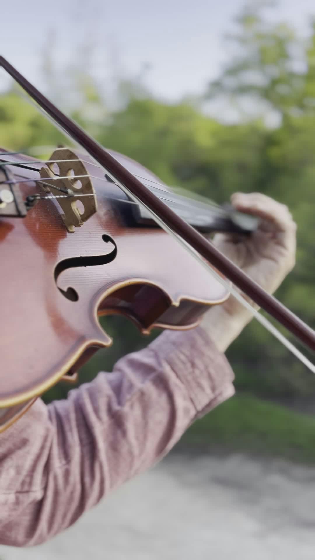 Serene Violin Performance in Picturesque Nature Free Stock Video ...