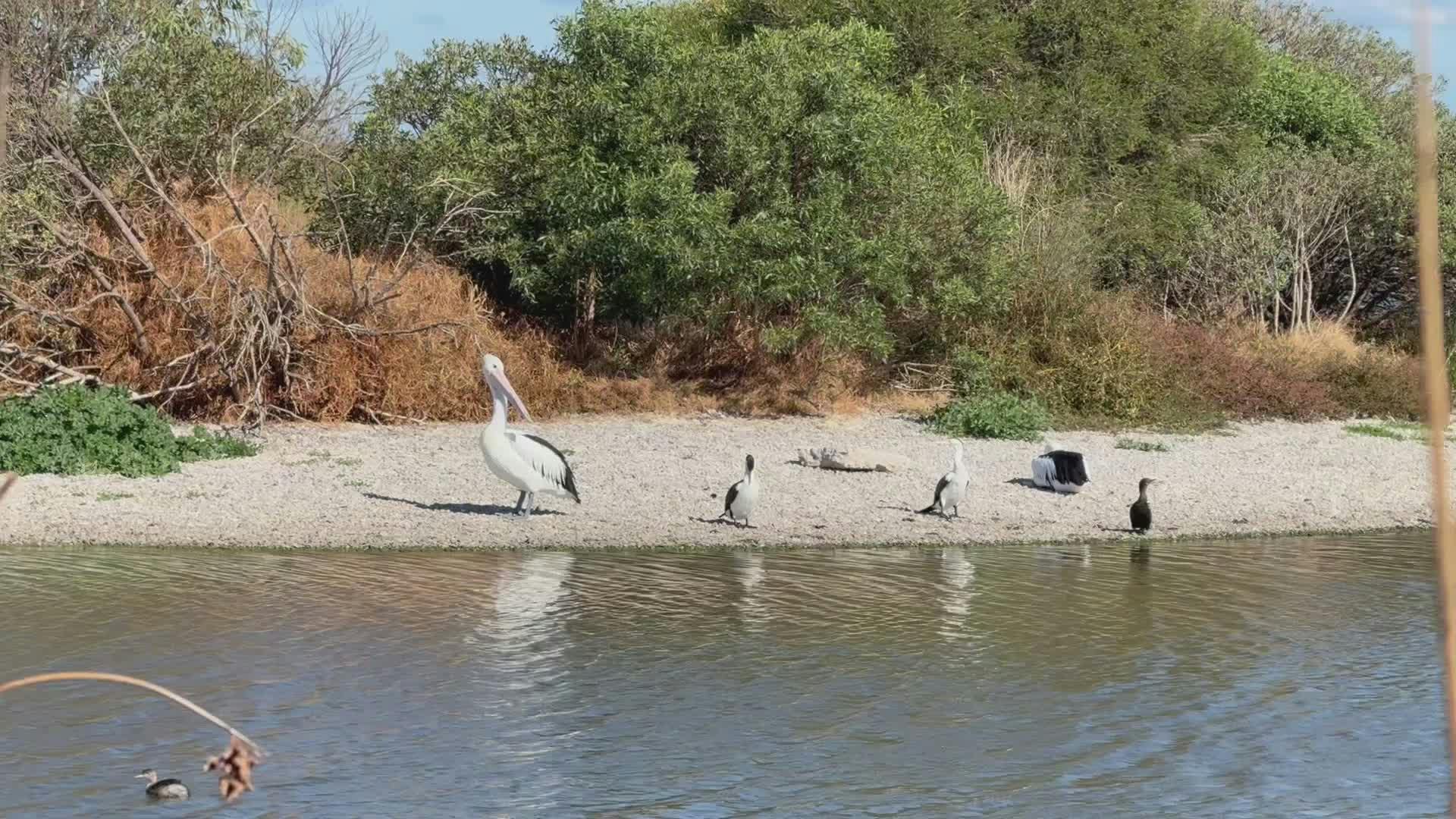 Jools Magools - Photography