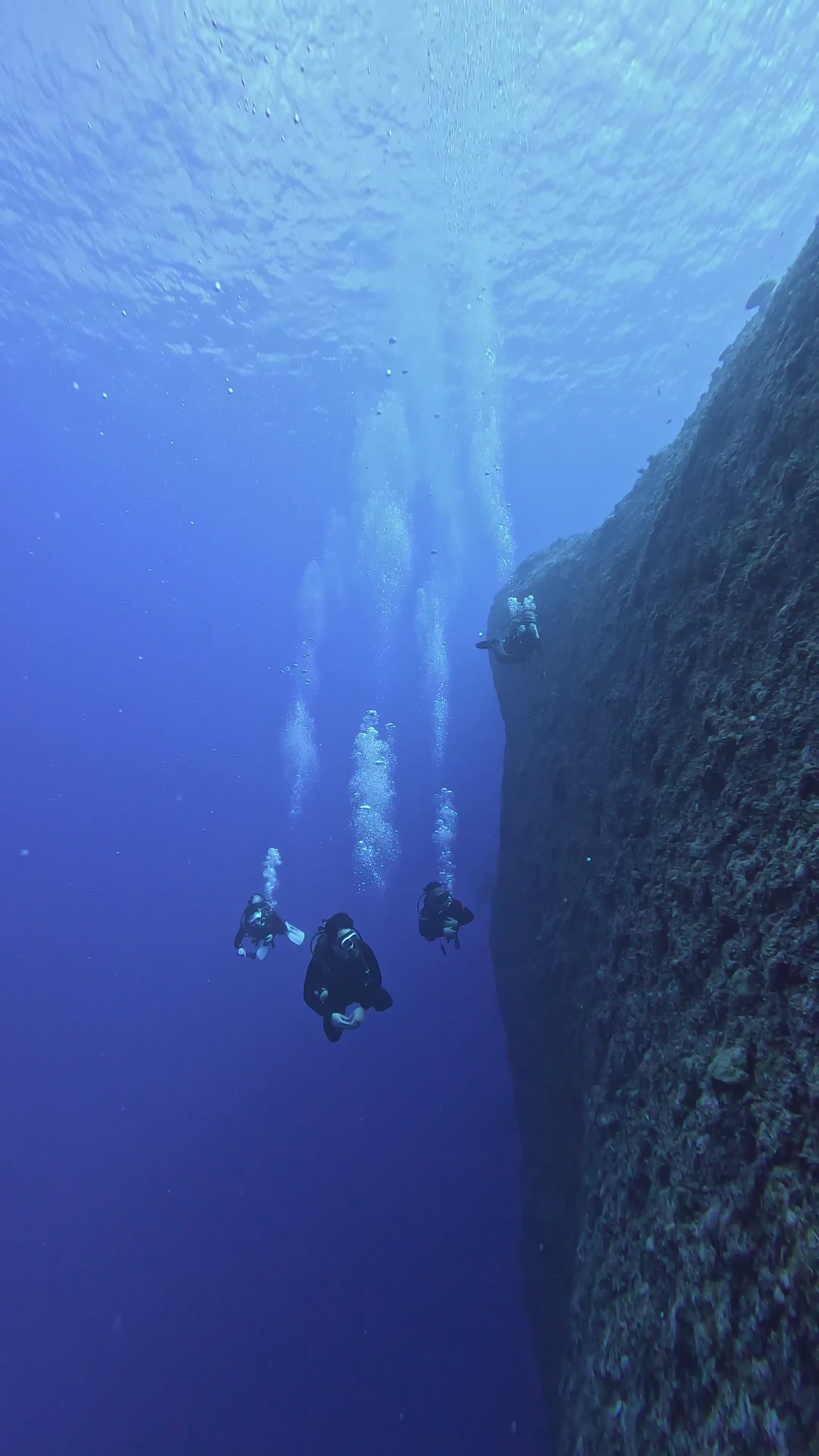 Scuba Divers Exploring Underwater Cliff Free Stock Video Footage ...
