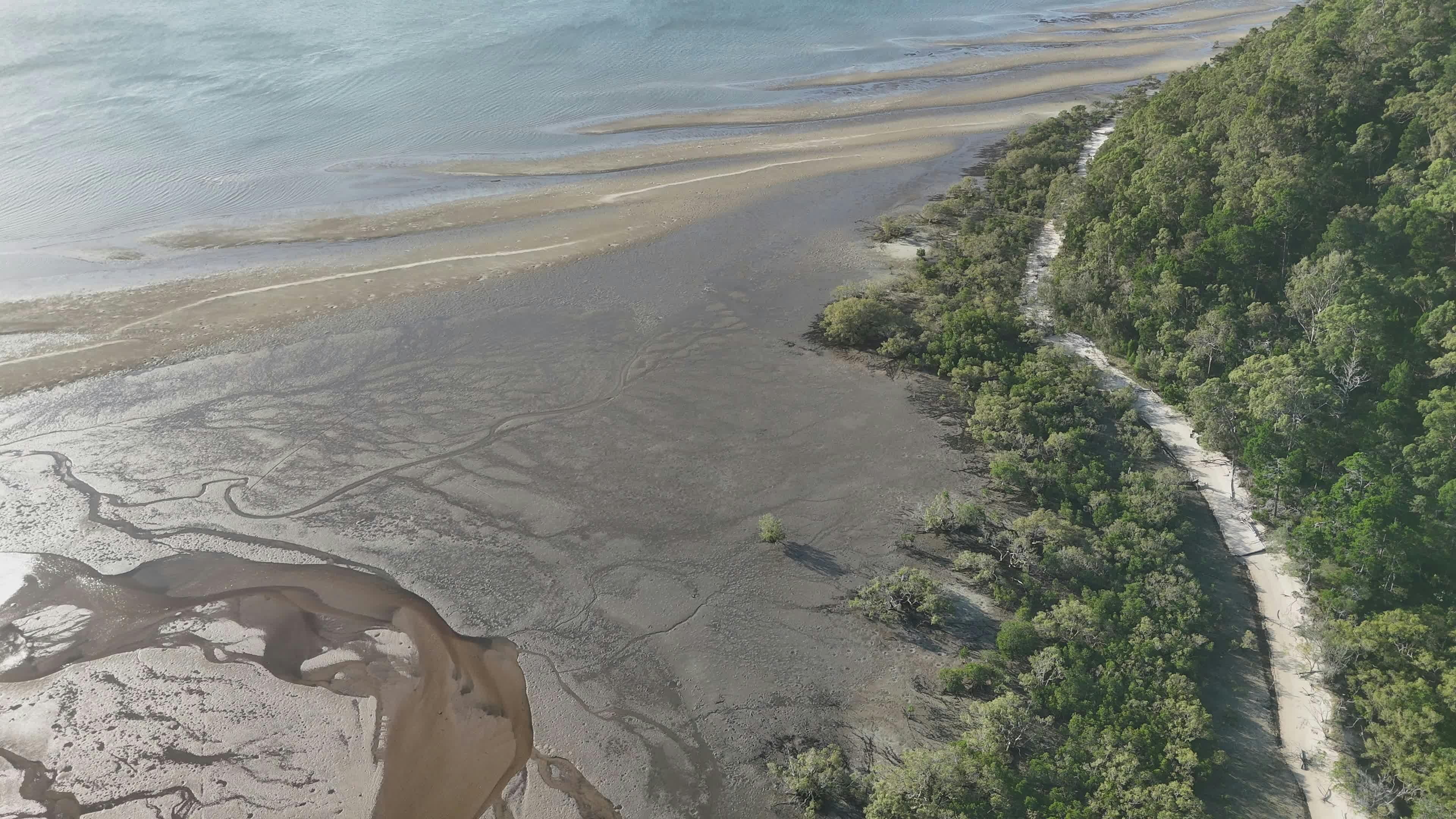 Ecosystem Forest Videos, Download The BEST Free 4k Stock Video Footage ...