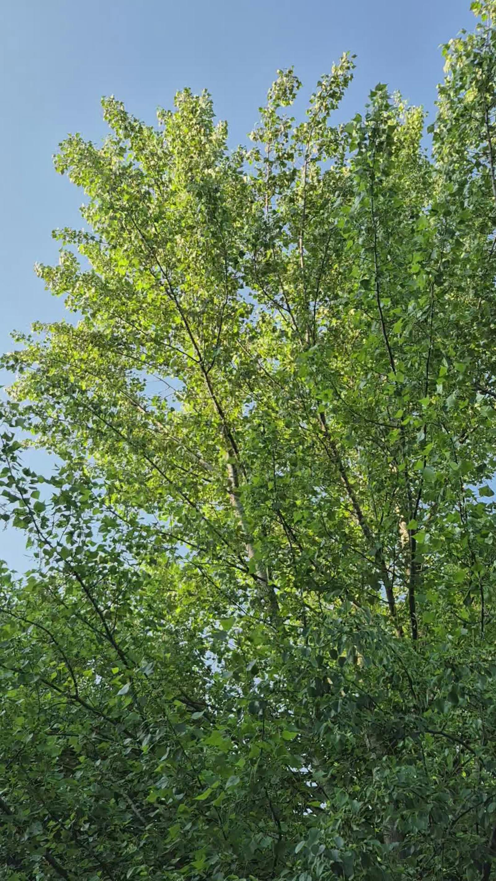 Japanese+Mom+Son+Six+Video Videos, Download The BEST Free 4k Stock ...