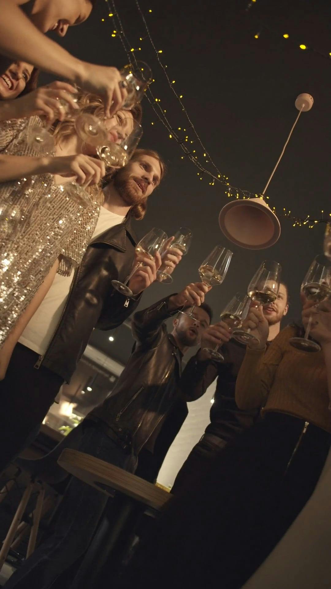 Party People Socializing In A Party · Free Stock Video