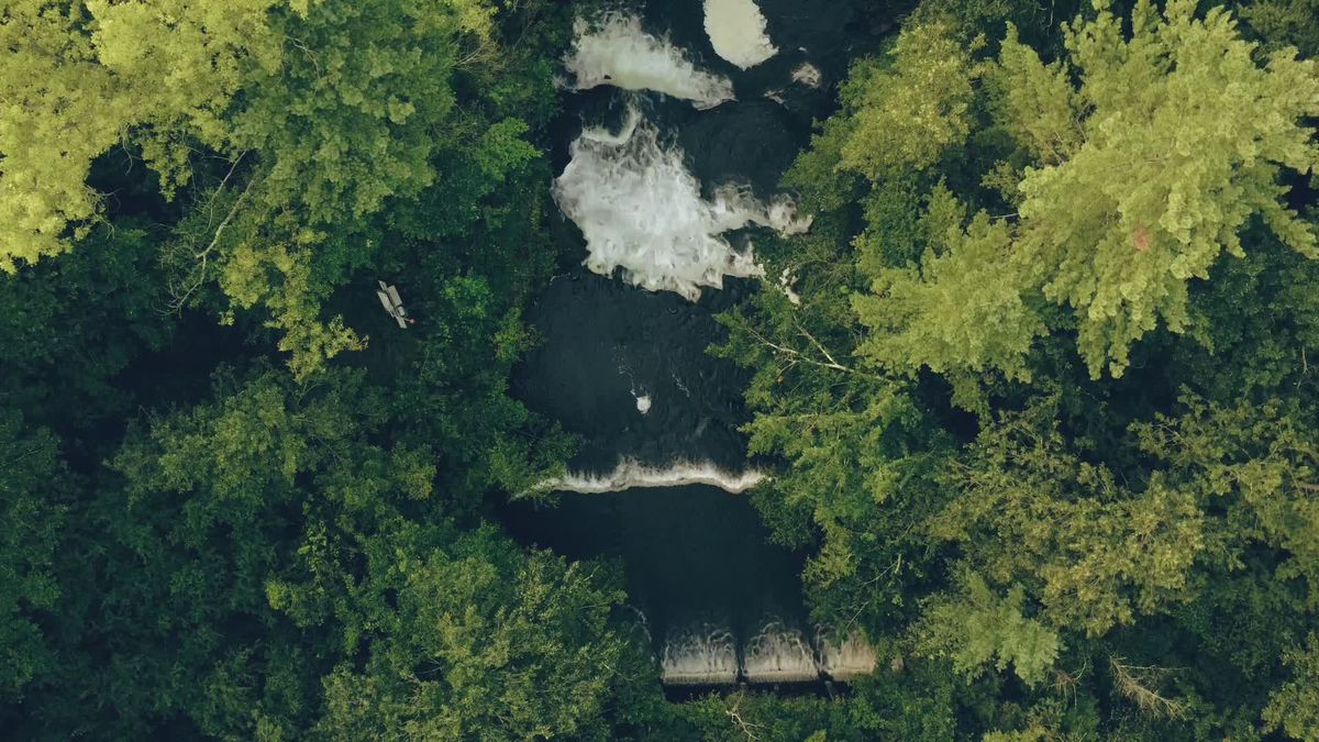 Nature Videos Videos, Download The BEST Free 4k Stock Video Footage ...