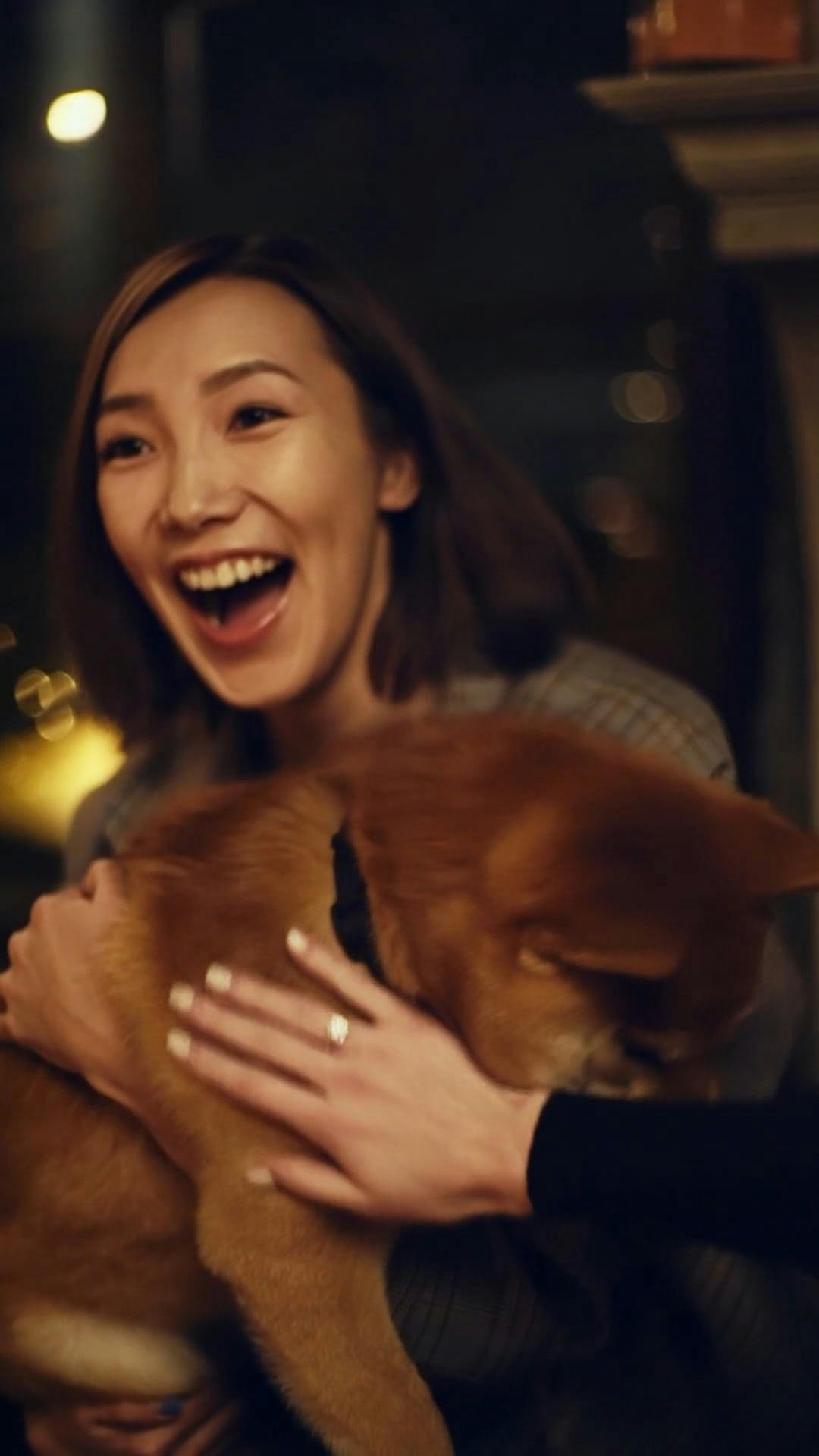 Human Animal Bond Videos, Download The BEST Free 4k Stock Video Footage ...