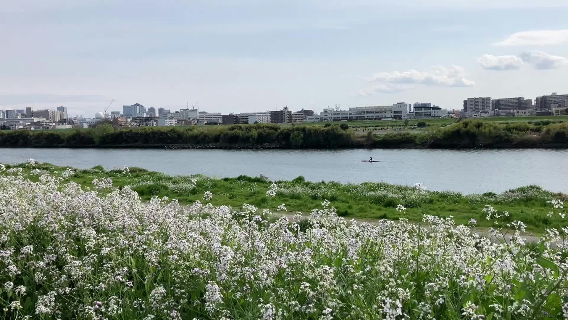 Tokyo Drift Song Videos, Download The BEST Free 4k Stock Video Footage ...