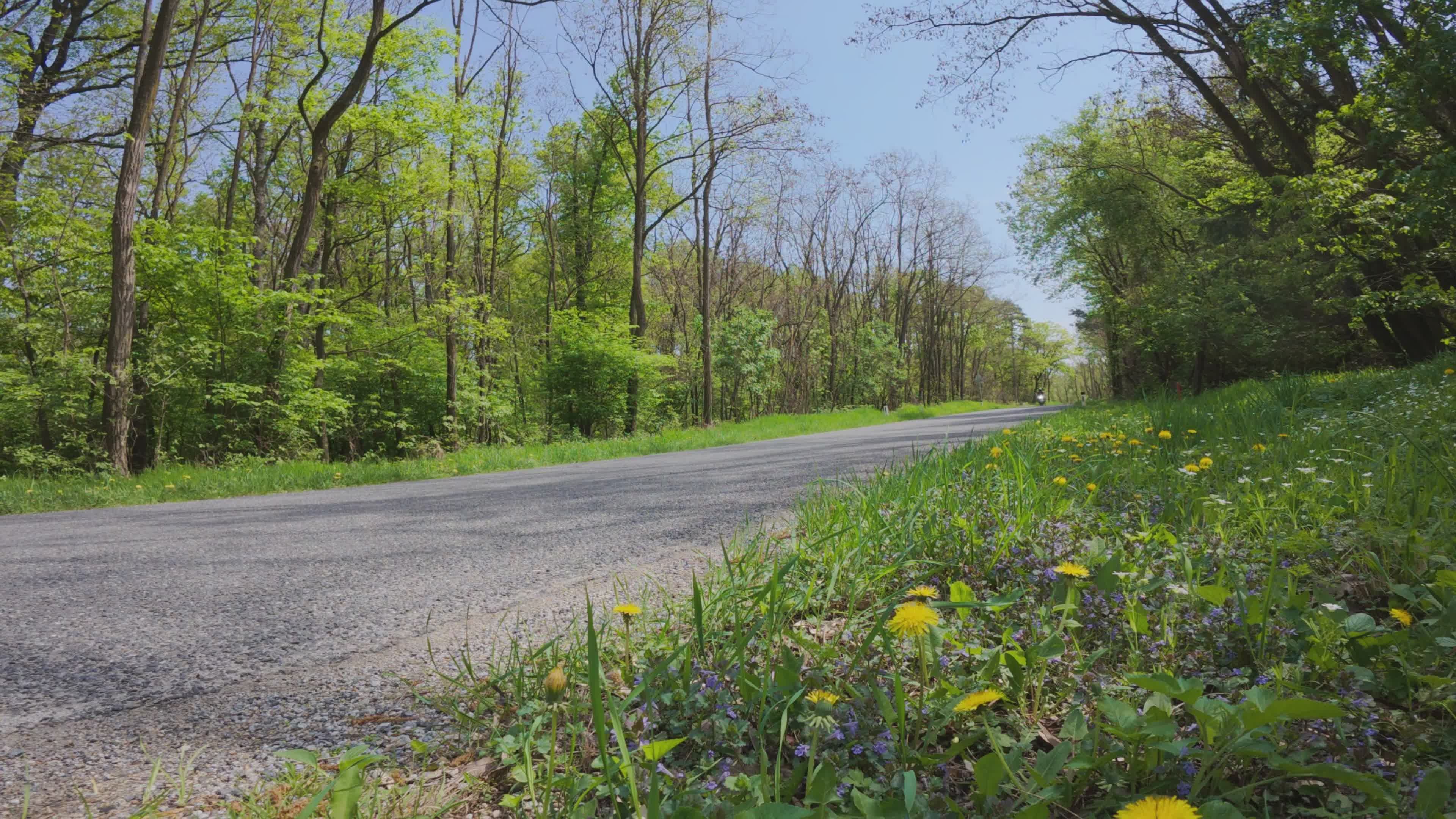 Nature Cycle Videos, Download The BEST Free 4k Stock Video Footage ...