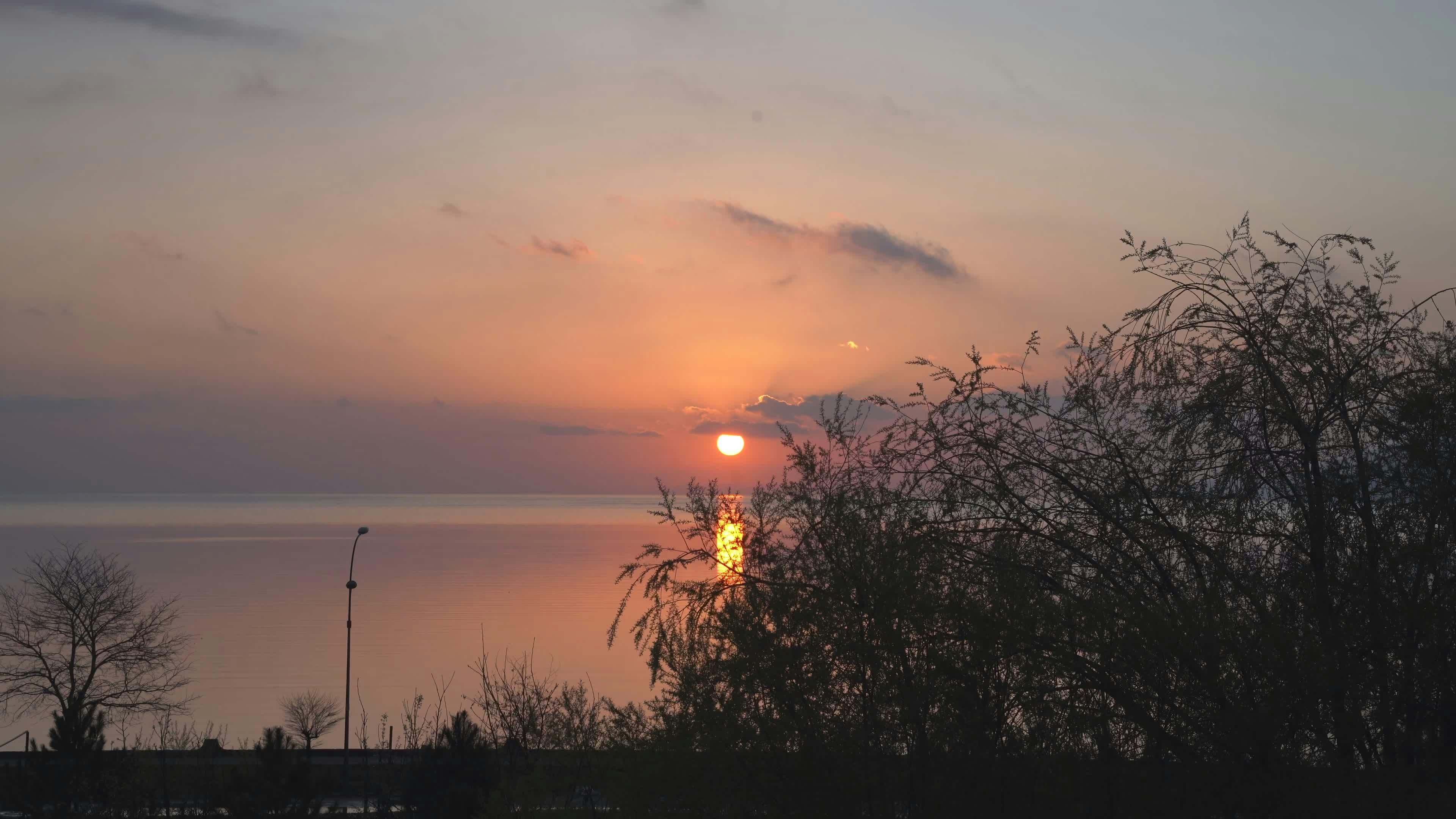 Meditation Tree Videos, Download The BEST Free 4k Stock Video Footage ...