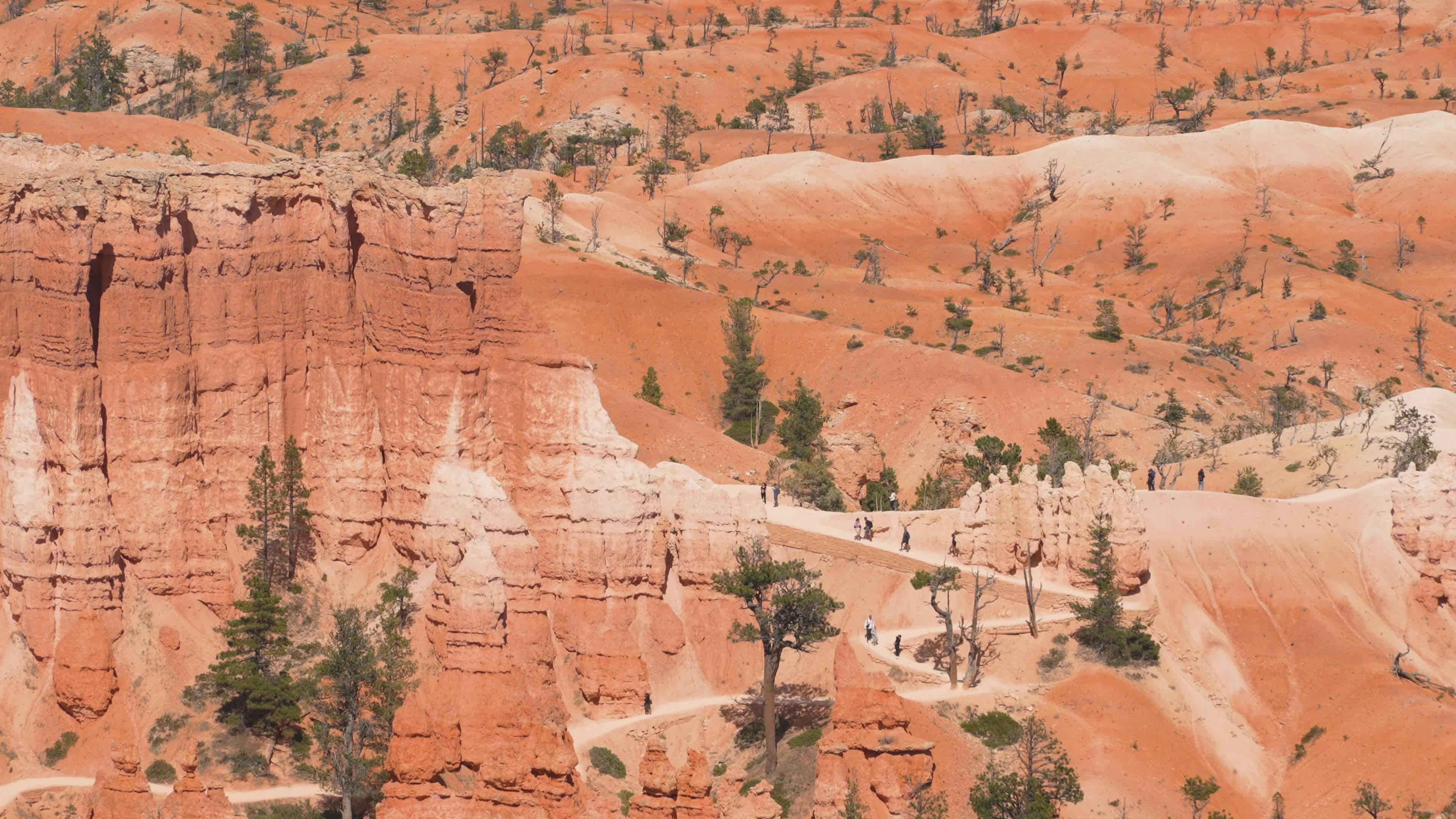 Creamy+Spot+Full+Vides Videos, Download The BEST Free 4k Stock Video ...