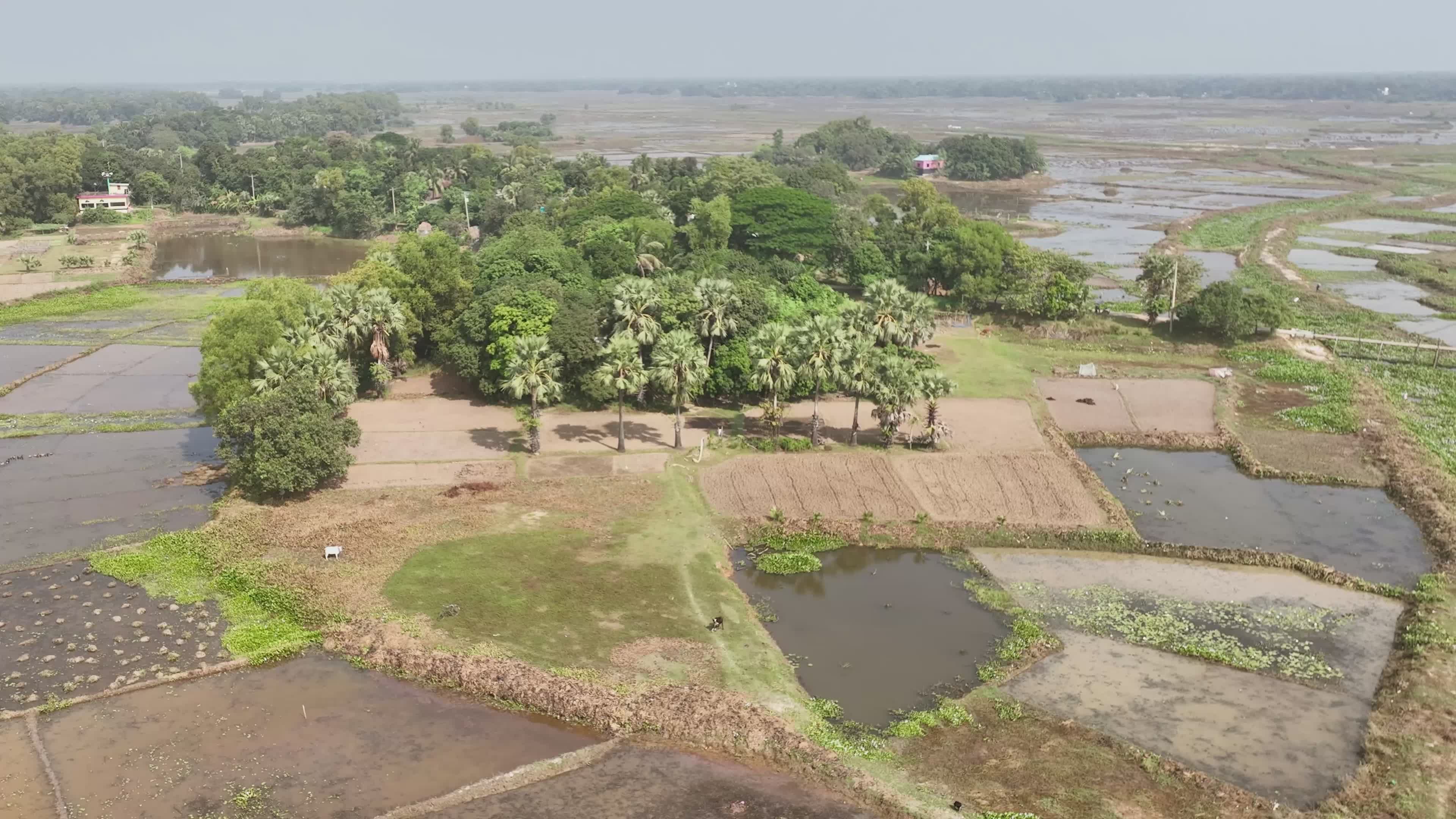 Vista Aérea Panorámica Del Paisaje Rural De Belai Beel · Vídeo de stock ...