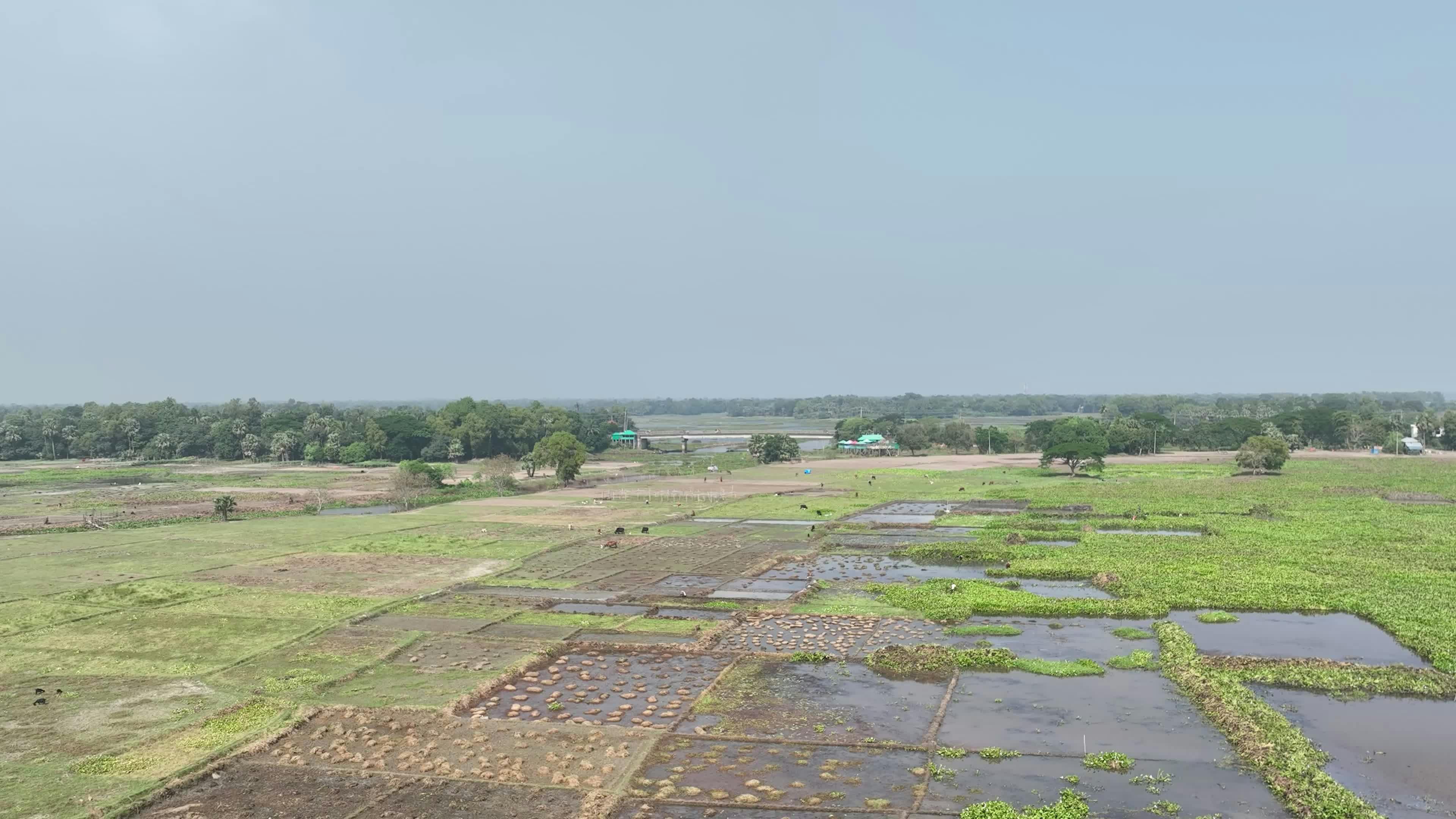 Scenic Views of Belai Beel Gazipur Landscape Free Stock Video Footage ...
