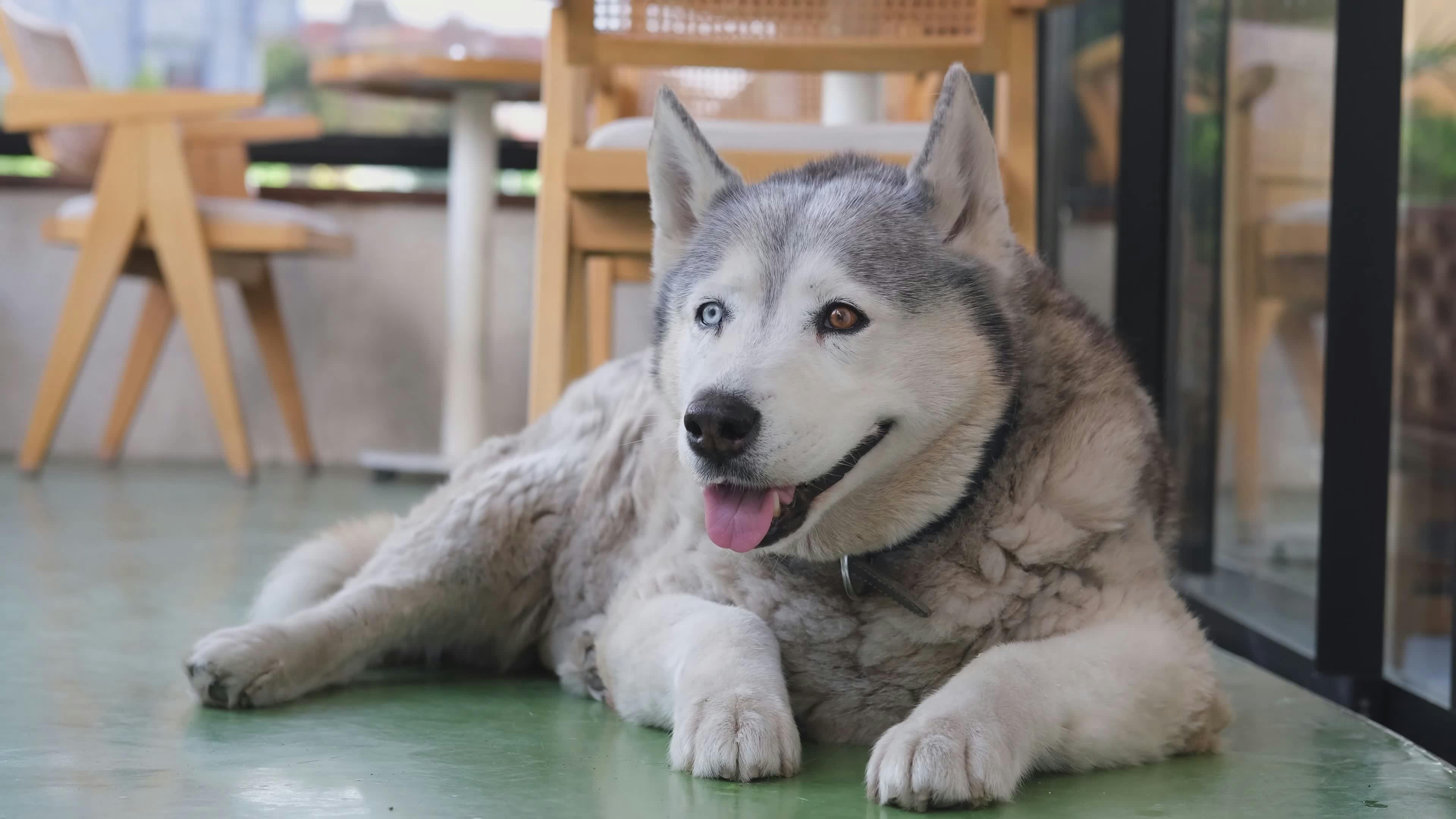 Cute+Girl++Vk Videos, Download The BEST Free 4k Stock Video Footage ...