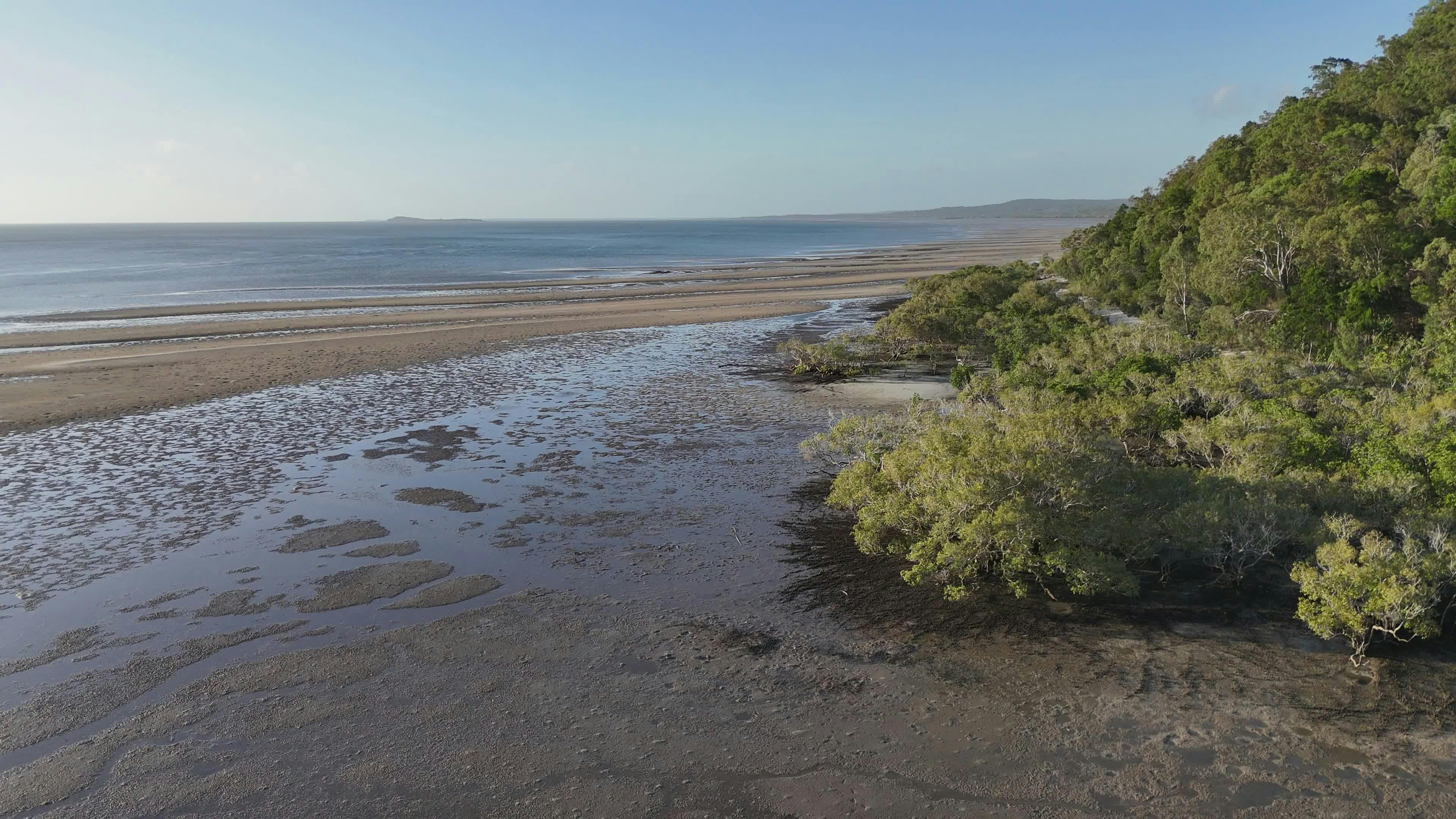 Scenic Coastal Aerial View of Mangrove Forest Free Stock Video Footage ...