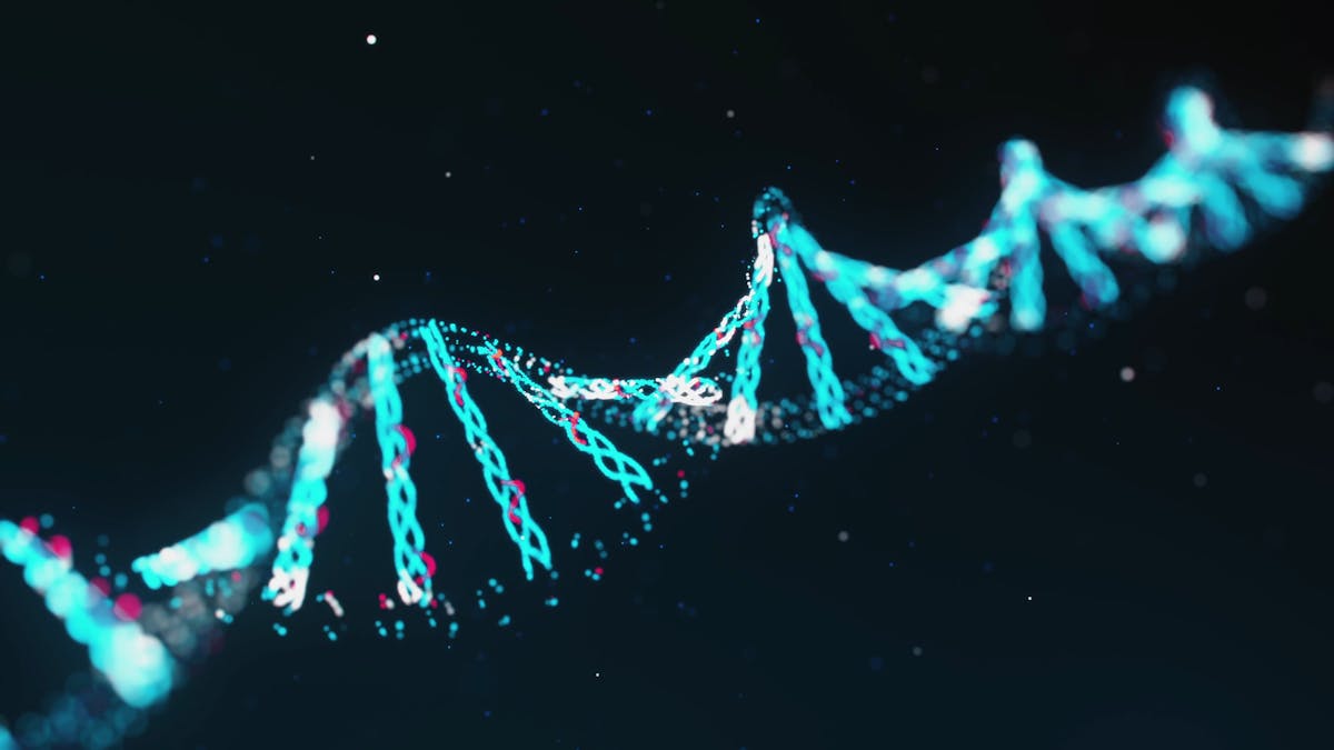 Background Video Videos, Download The BEST Free 4k Stock Video Footage ...