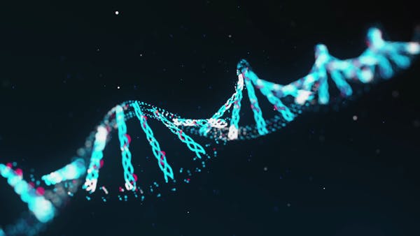 Background Video Videos, Download The BEST Free 4k Stock Video Footage ...