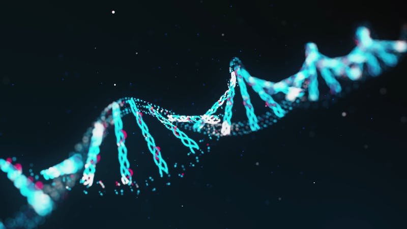 Background Video Videos, Download The BEST Free 4k Stock Video Footage ...