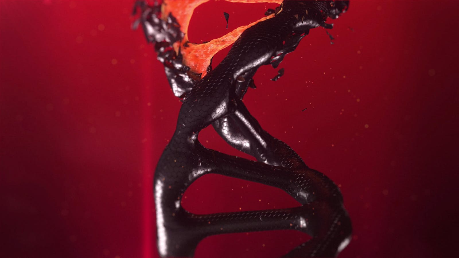 Video Presentation Videos, Download The BEST Free 4k Stock Video ...