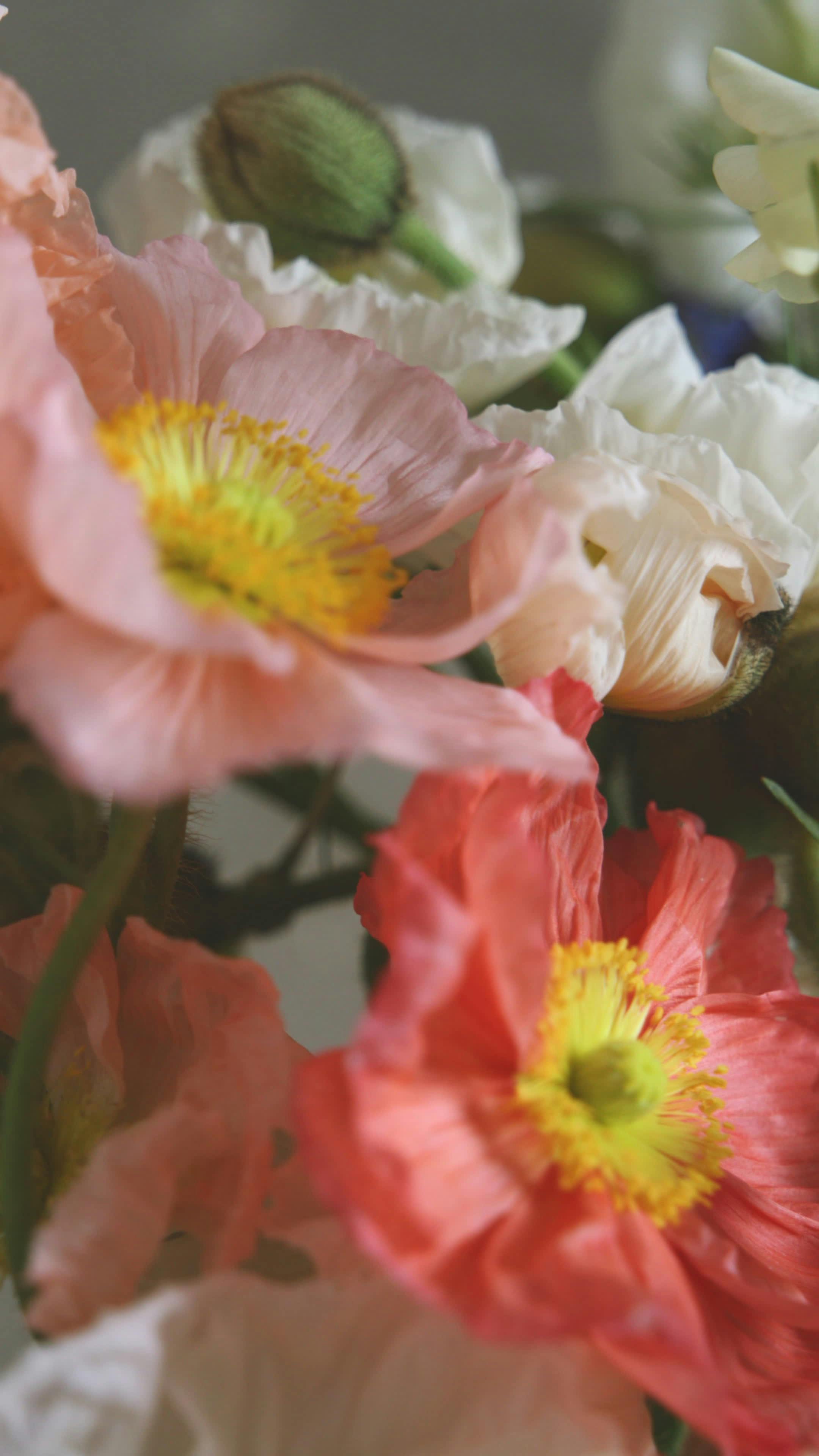 Vidéo gratuite de affichage floral, aménagement paysager, arrière plan ...