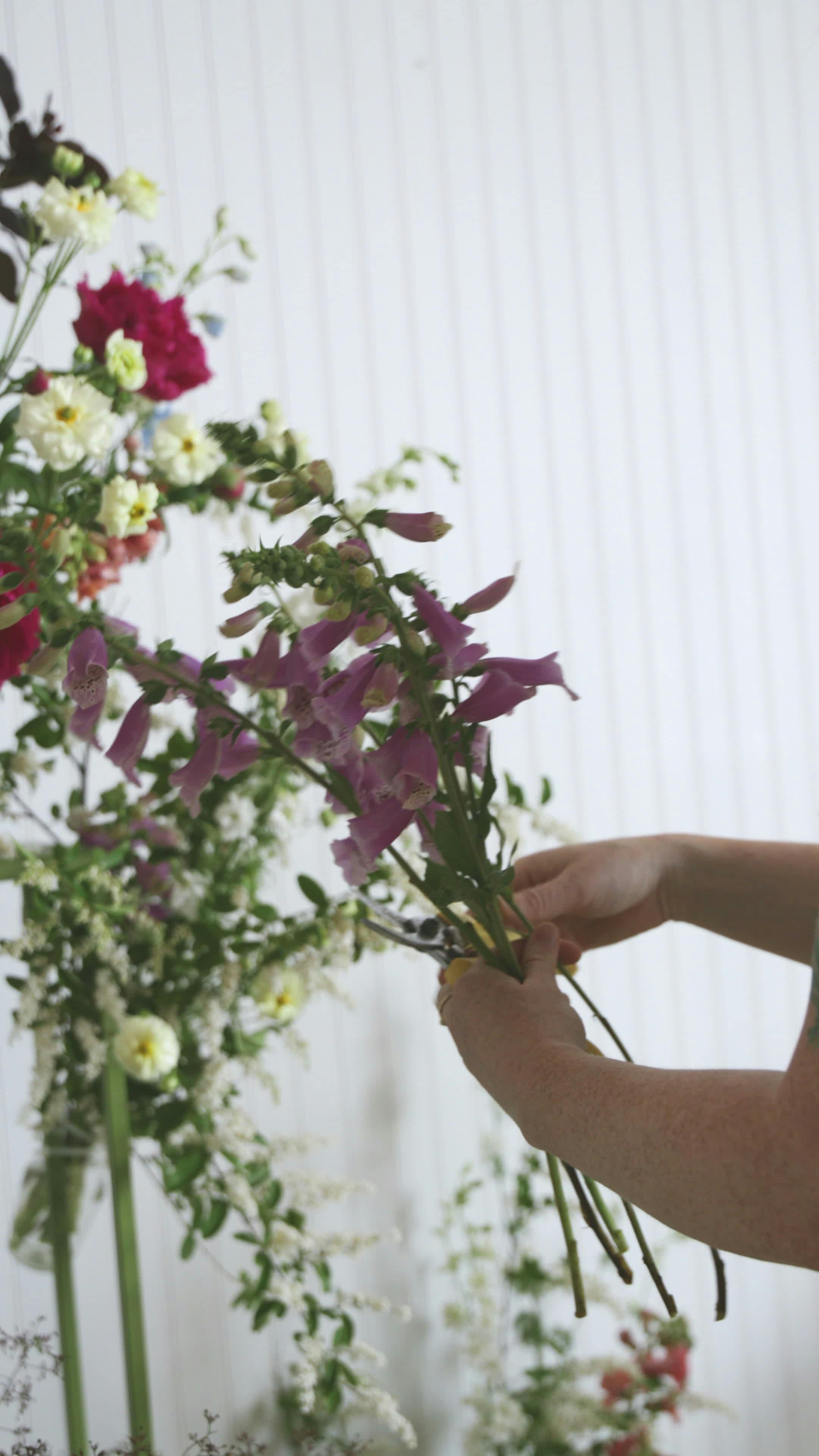 Flower Arranging Videos, Download The BEST Free 4k Stock Video Footage ...