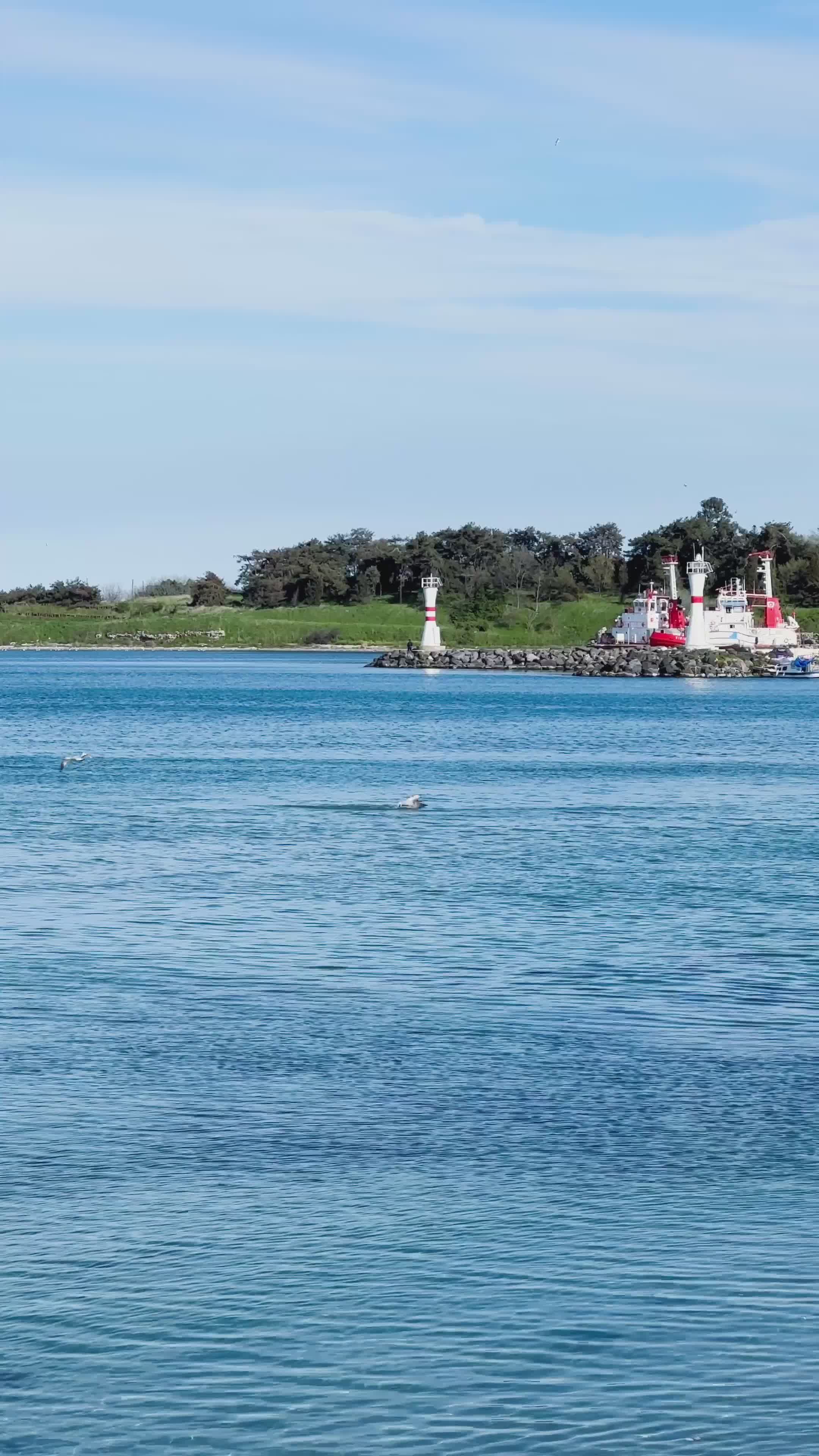 Lighthouse Your Farts Videos Download The Best Free 4k Stock Video