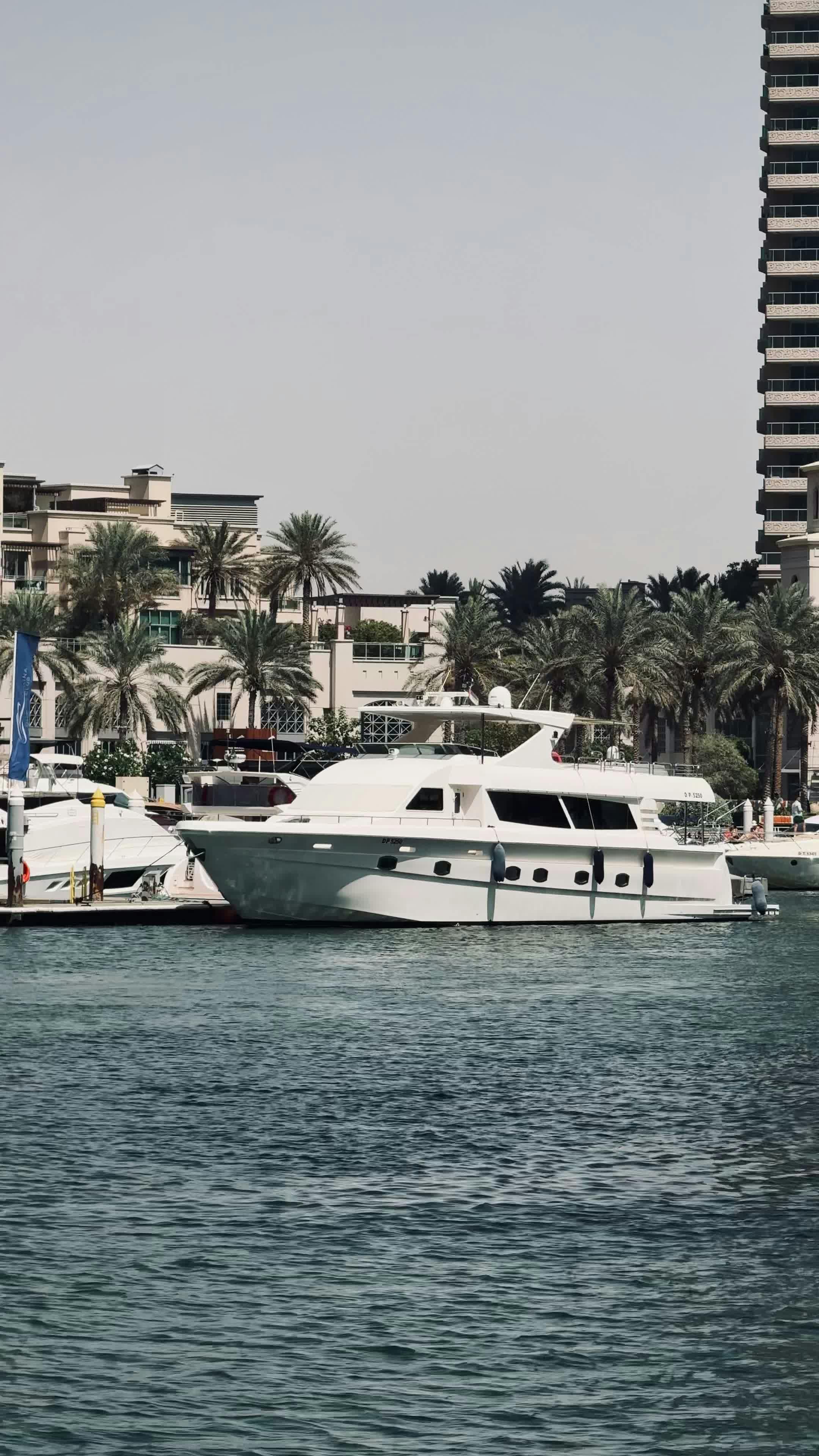 Sutra Tower Videos, Download The BEST Free 4k Stock Video Footage ...