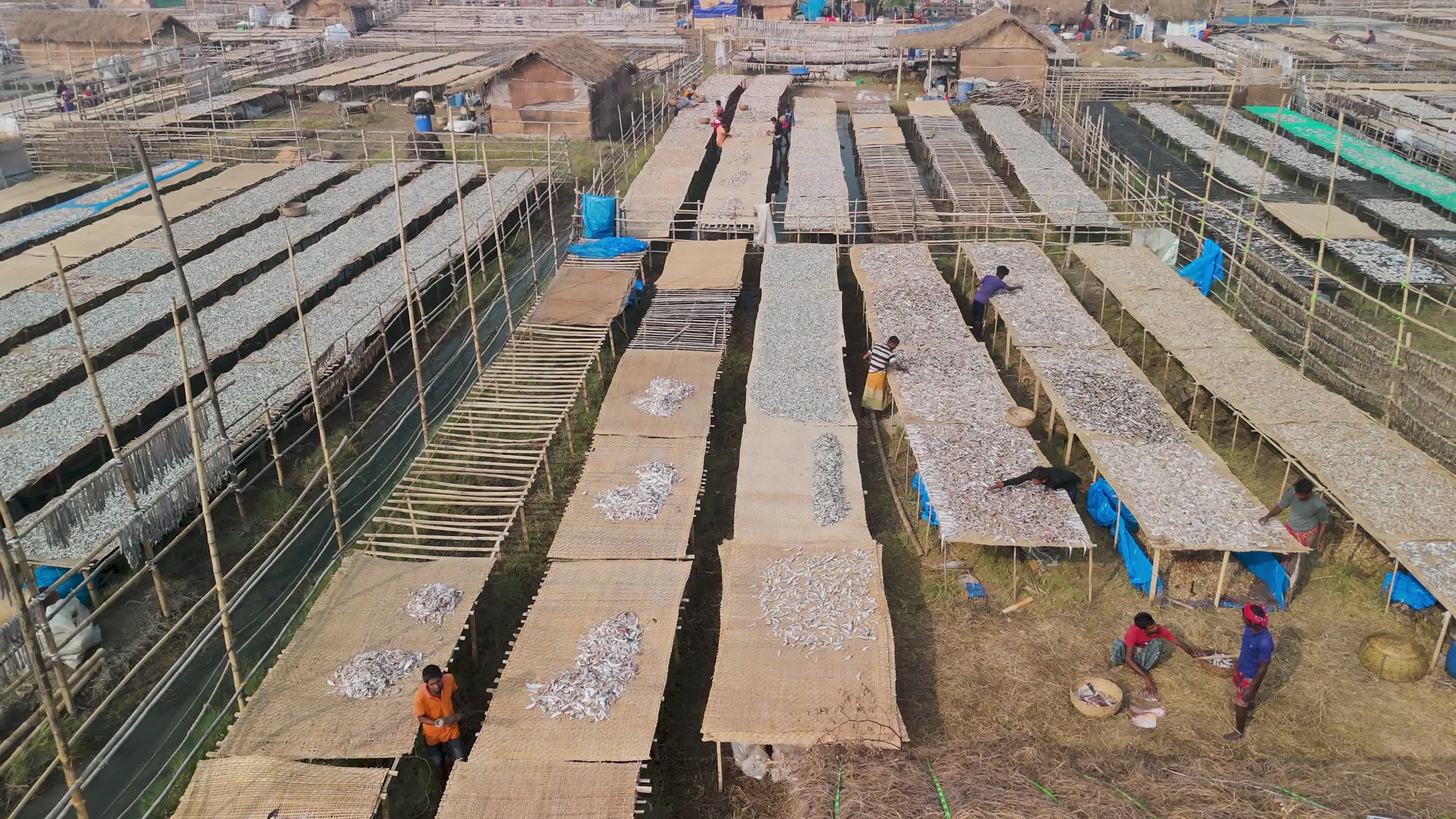 Imagens Aéreas De Drone Da Ilha Dublar Char, Sundarbans | A Beleza ...