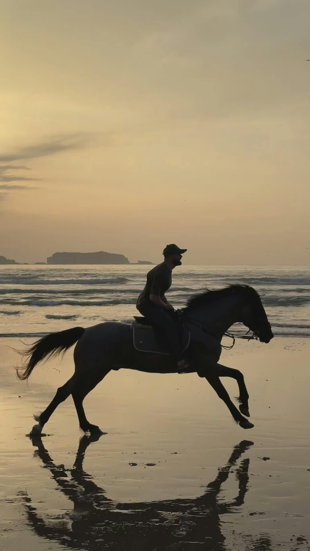 Happiness And Freedom Videos, Download The BEST Free 4k Stock Video ...