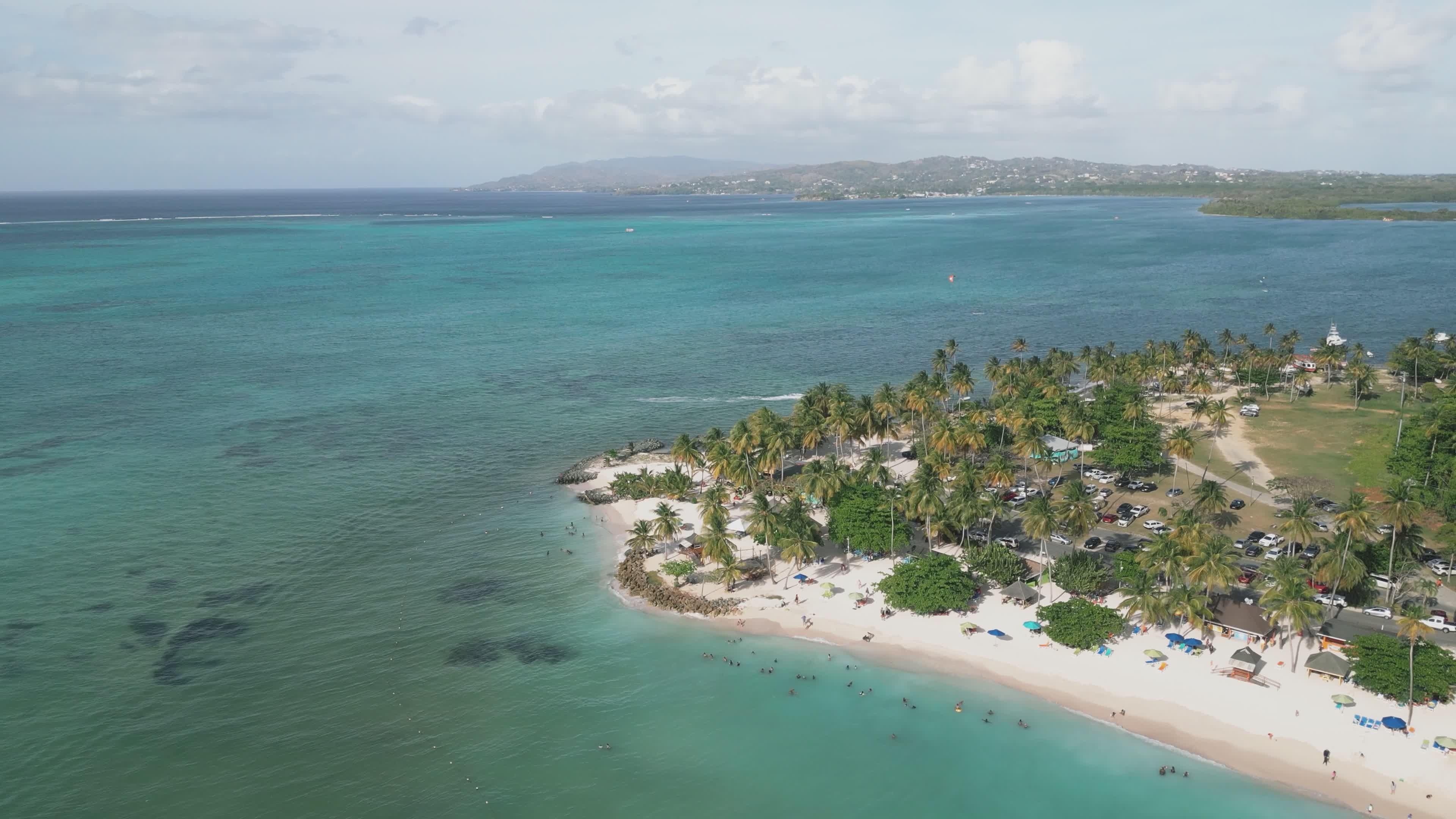Aerial View of Tropical Beach in Tobago Free Stock Video Footage ...