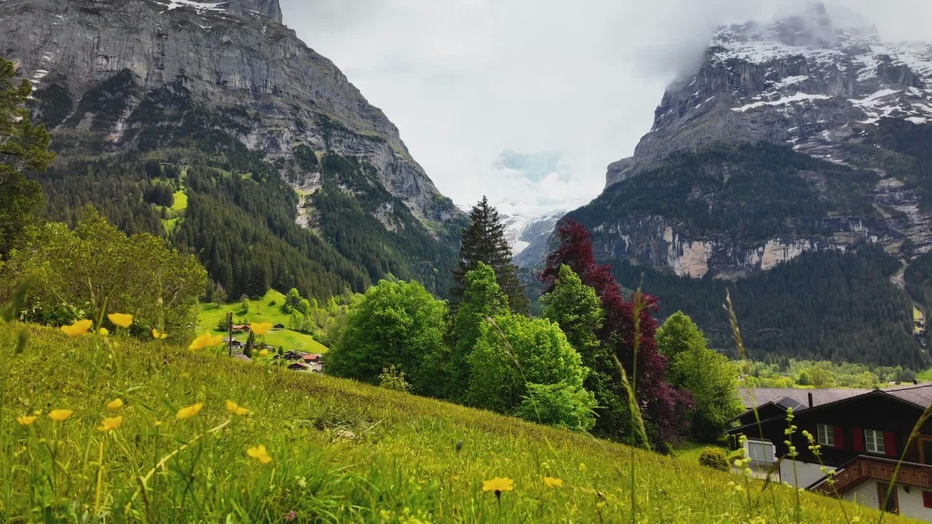 Lalazar Meadows Videos, Download The BEST Free 4k Stock Video Footage ...