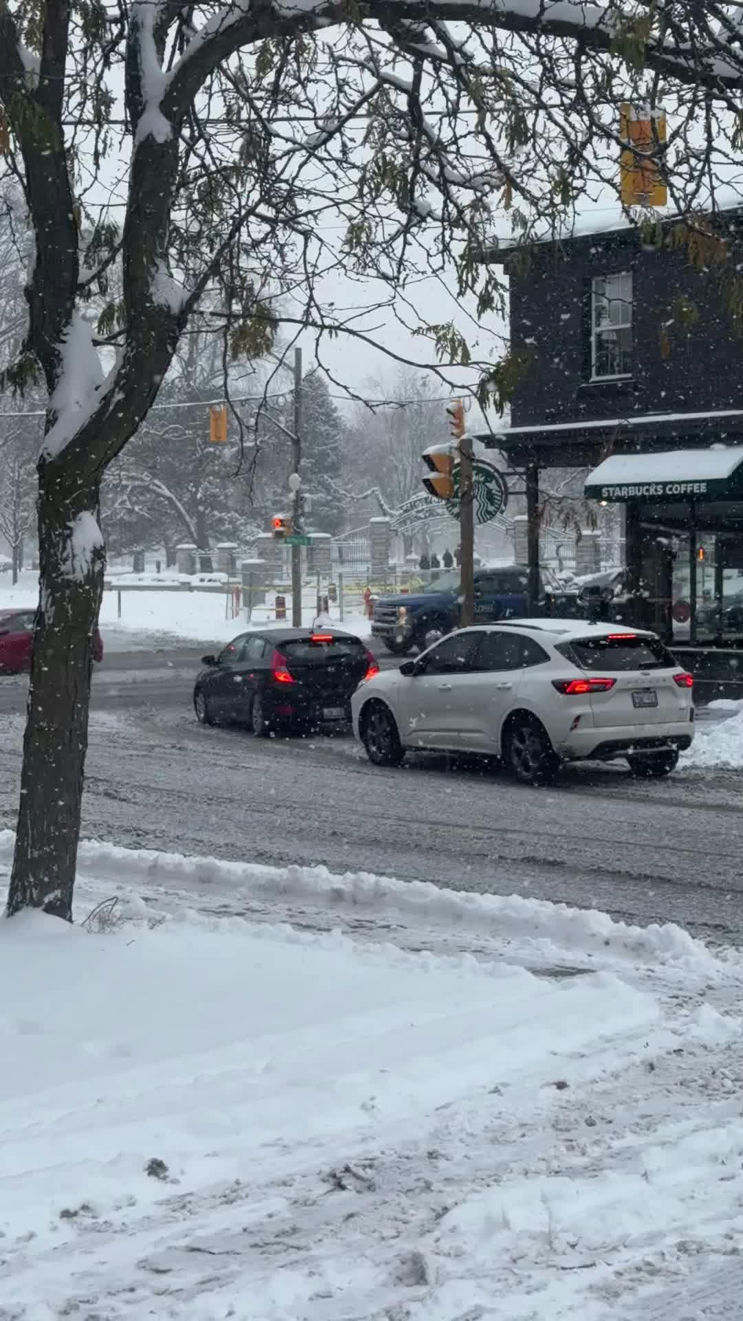 4 Lilin Videos, Download The BEST Free 4k Stock Video Footage & 4 Lilin ...