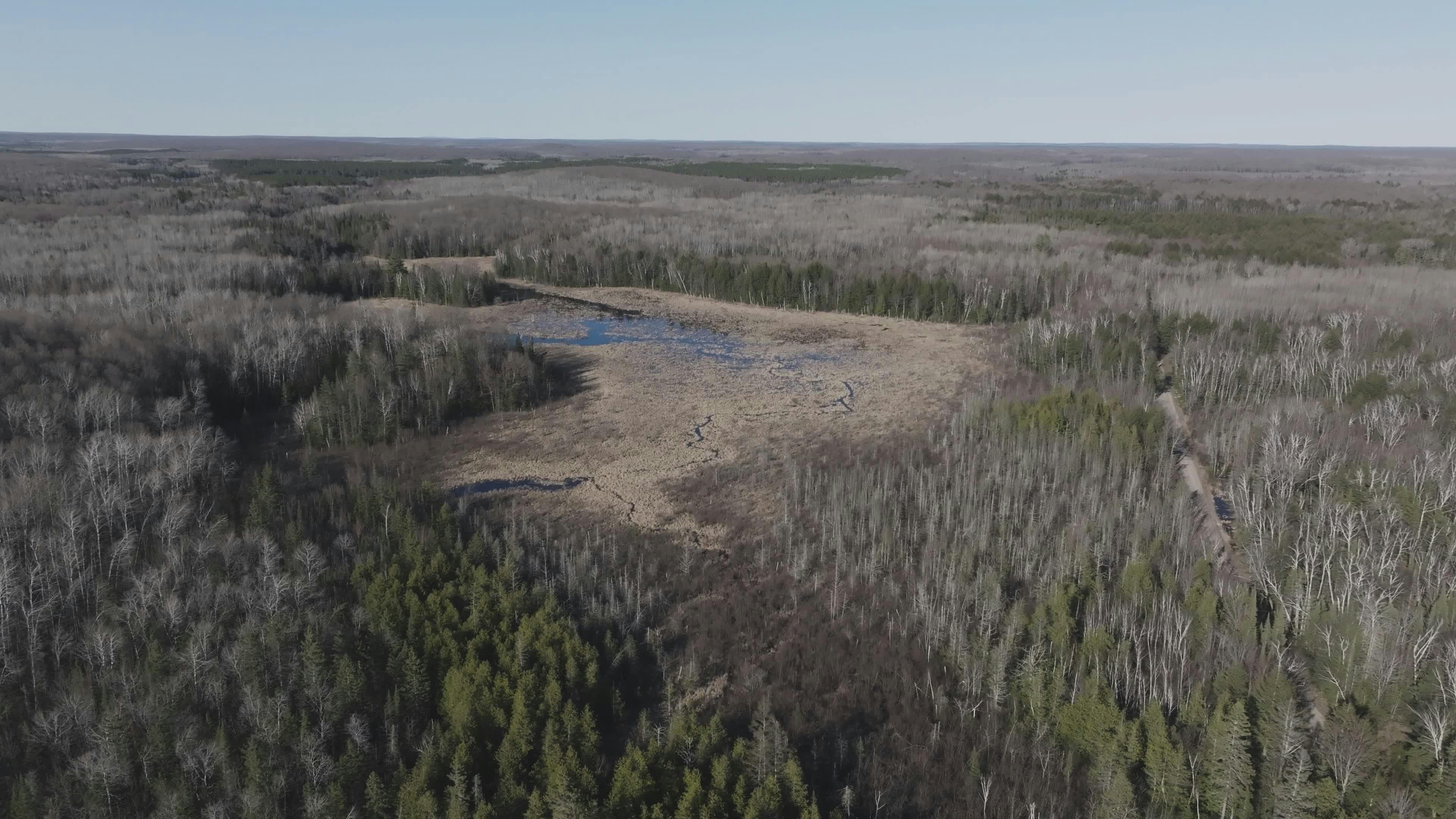 Drone Aerial View of Wisconsin Marshland in Spring Free Stock Video ...