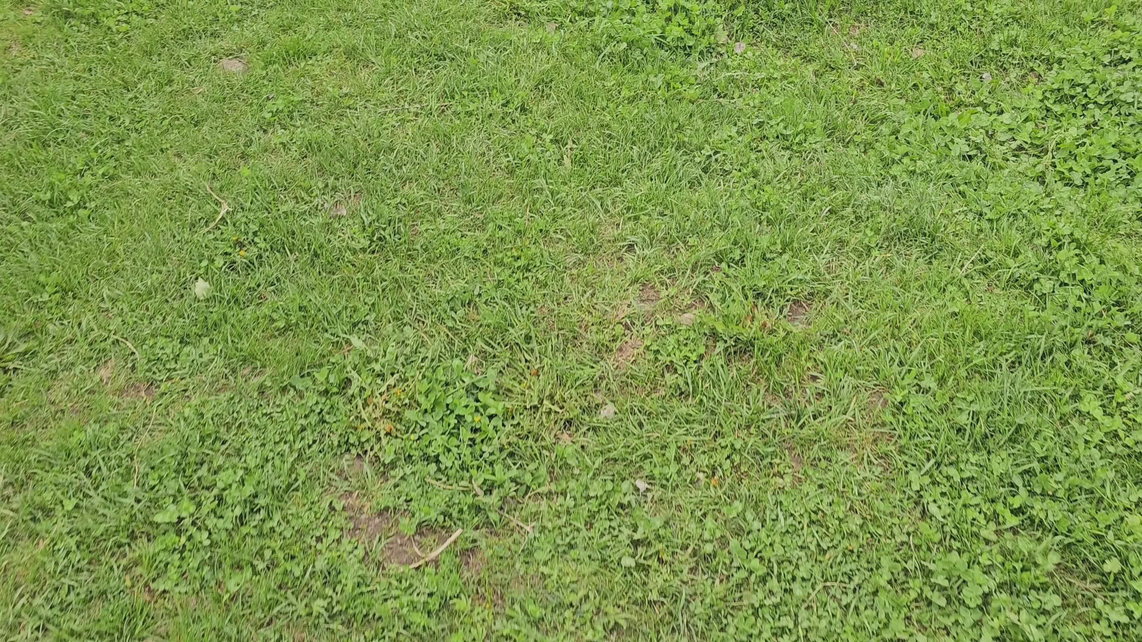 Turf 배경 Videos, Download The BEST Free 4k Stock Video Footage & Turf 배경 ...